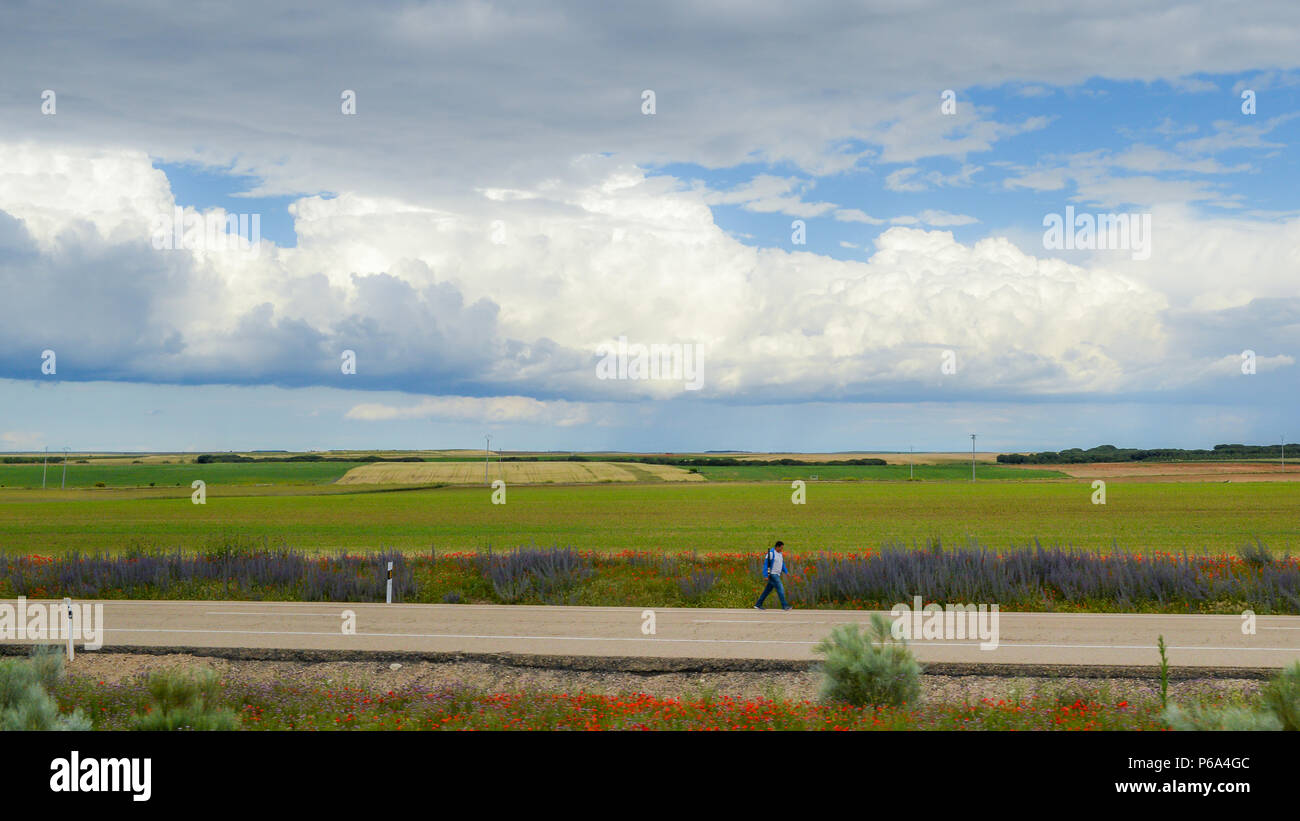 Wayofsaintjames hi-res stock photography and images - Alamy