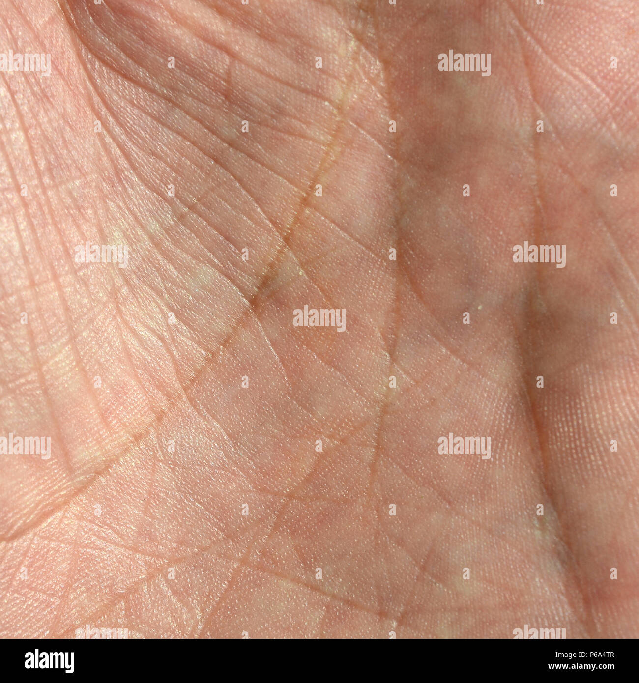 Man Hand Palm Lines High Resolution Stock Photography and Images - Alamy