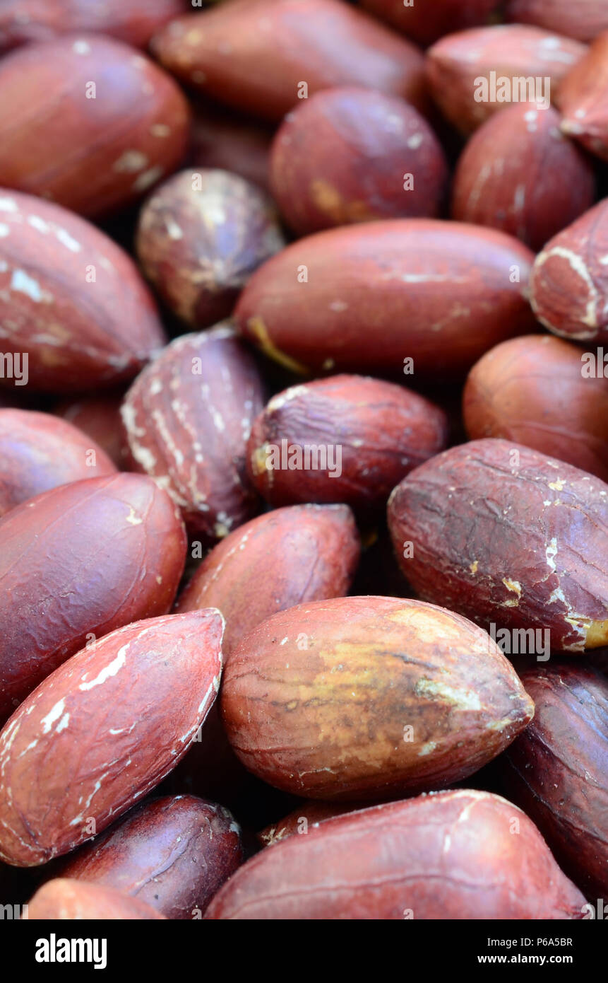 Peanut. A lot of small yellow nuts with brown peel. Background texture ...