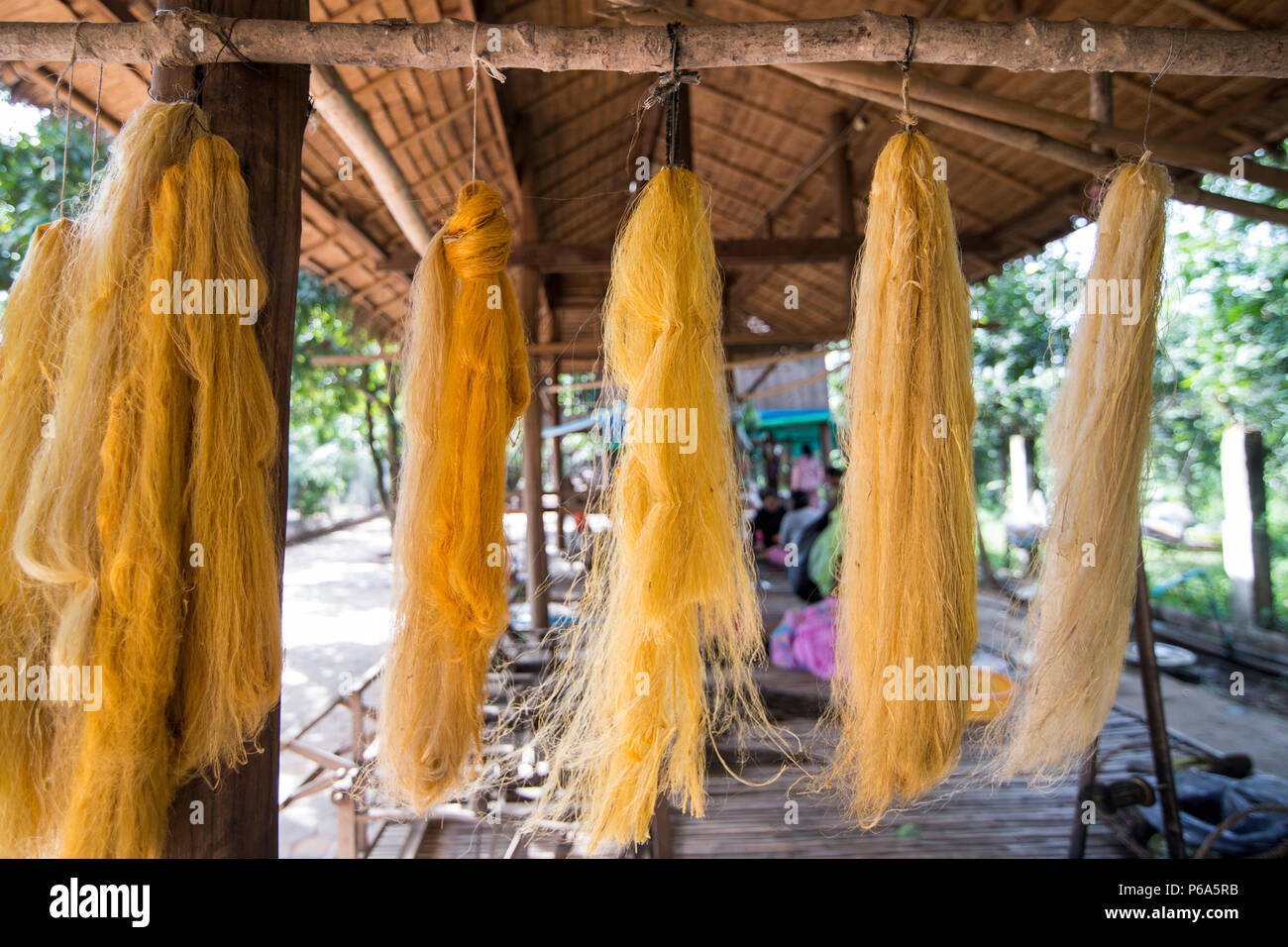 a silk production at the silk Island or Koh Dach near the city of Phnom ...