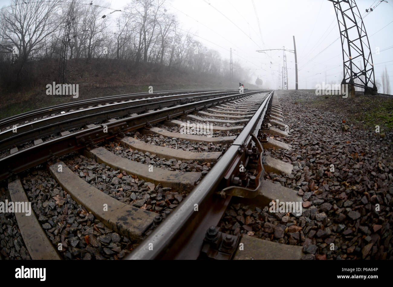Rail tracks in misty forest hi-res stock photography and images - Alamy