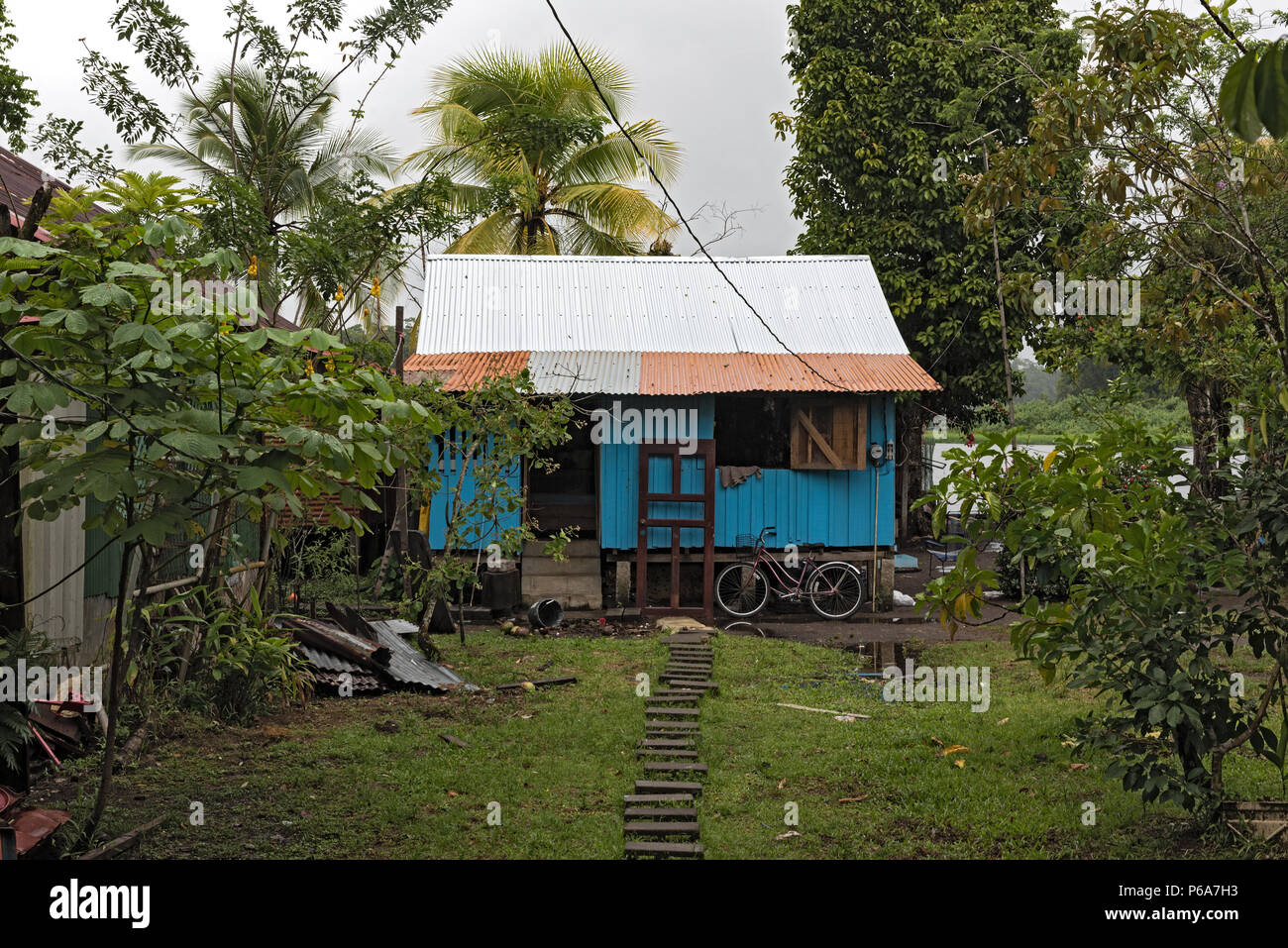 small blue wooden house in the city of tortuguero, costa rica Stock ...