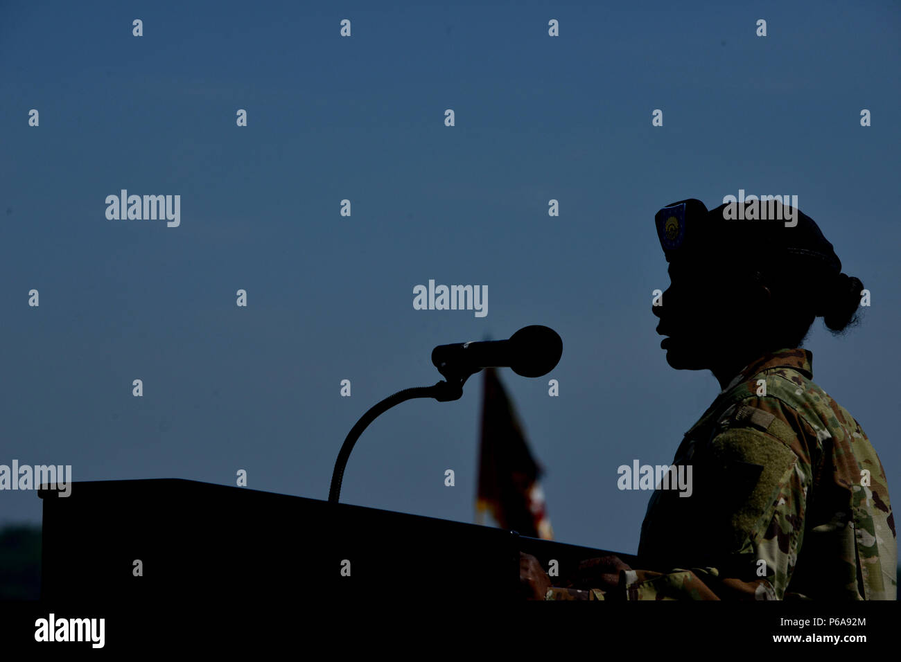U. S. Army Command Sgt. Maj. Vicki G Culp, former command sergeant ...