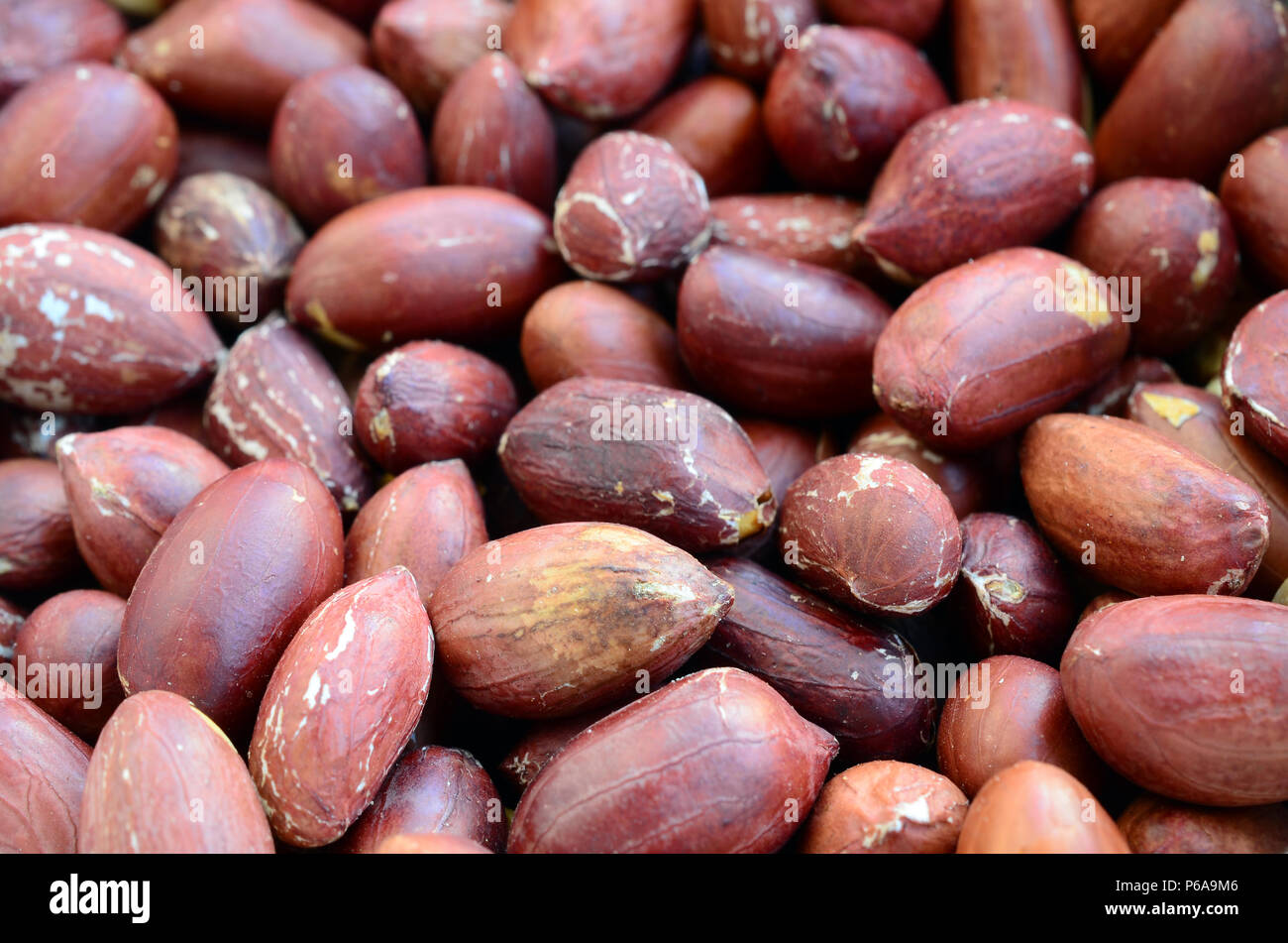 Peanut. A lot of small yellow nuts with brown peel. Background texture ...