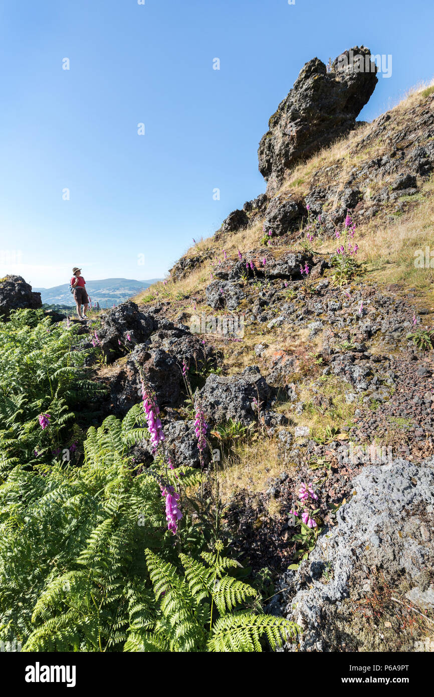 Slag heap wales hi-res stock photography and images - Alamy