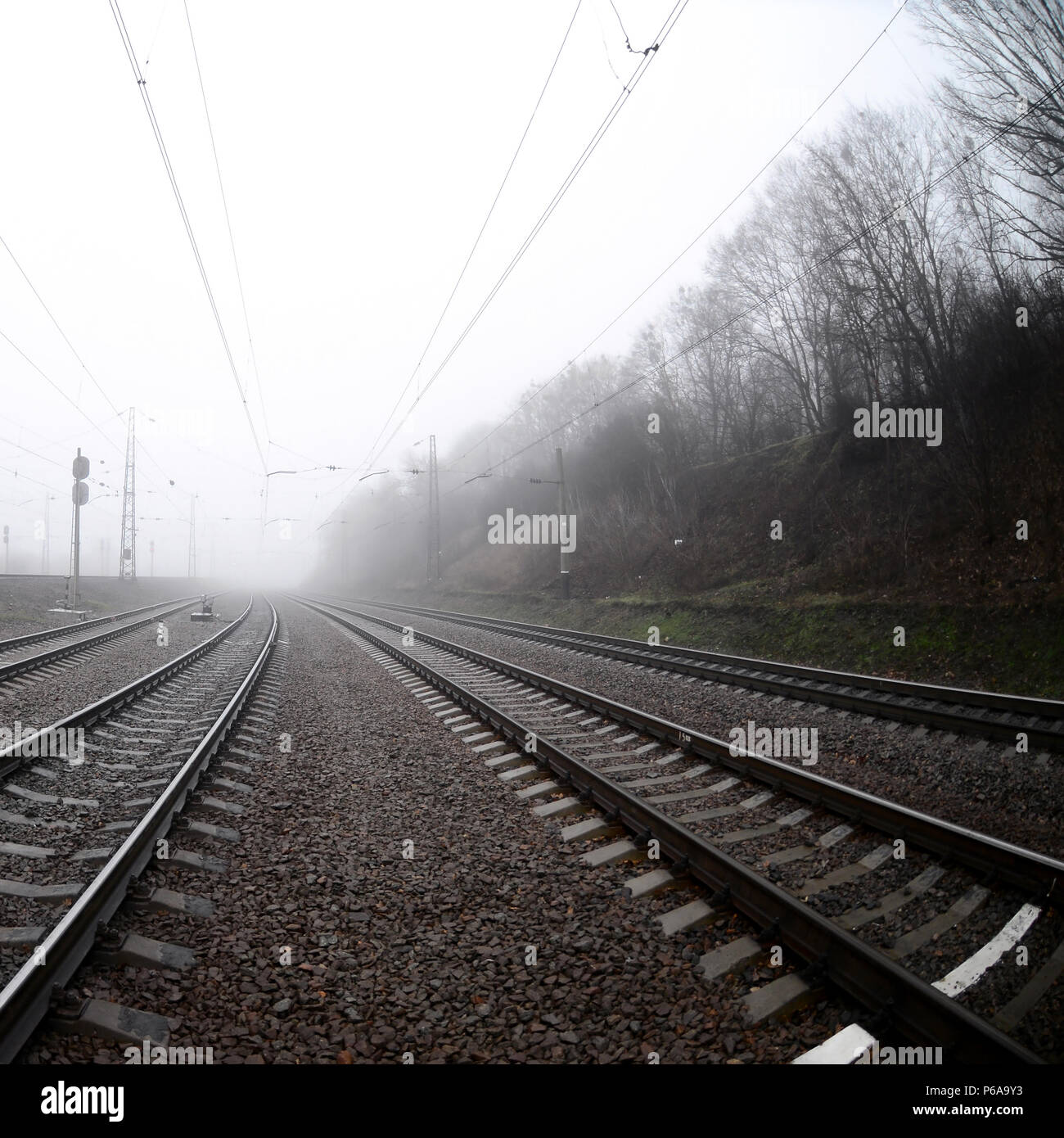 Rail tracks in misty forest hi-res stock photography and images - Alamy