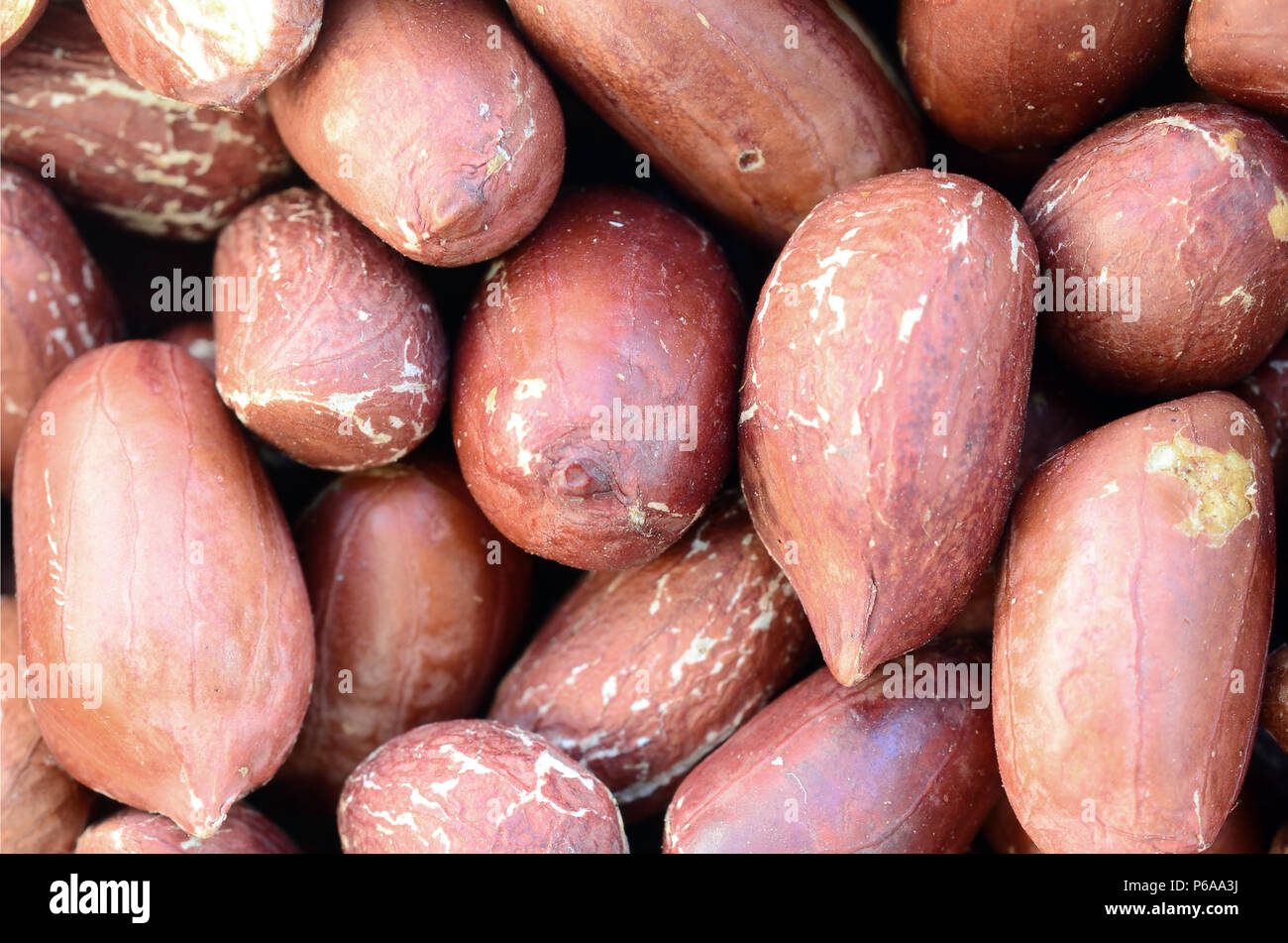 Peanut. A lot of small yellow nuts with brown peel. Background texture ...