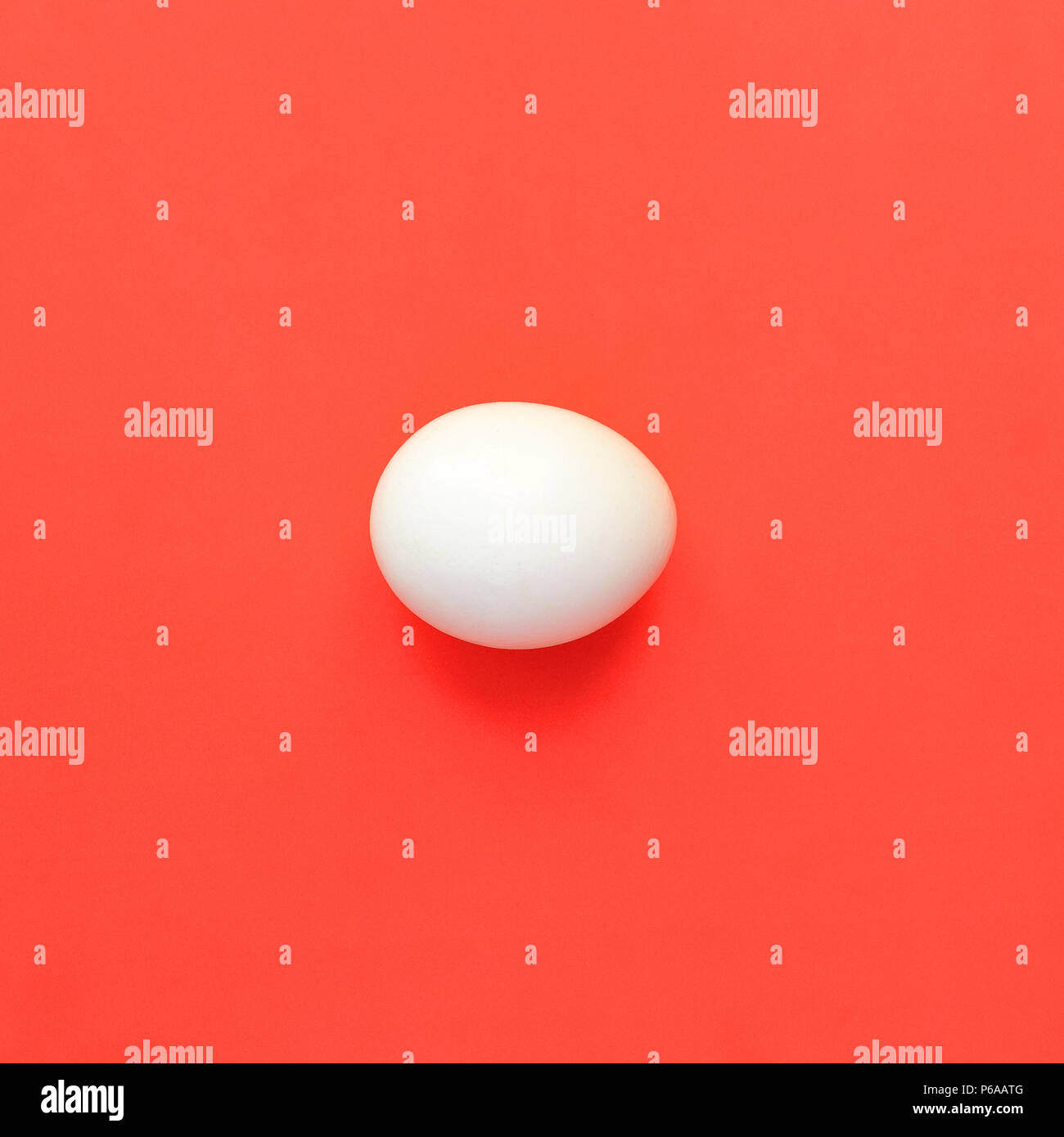 One white egg on a bright red background Stock Photo - Alamy