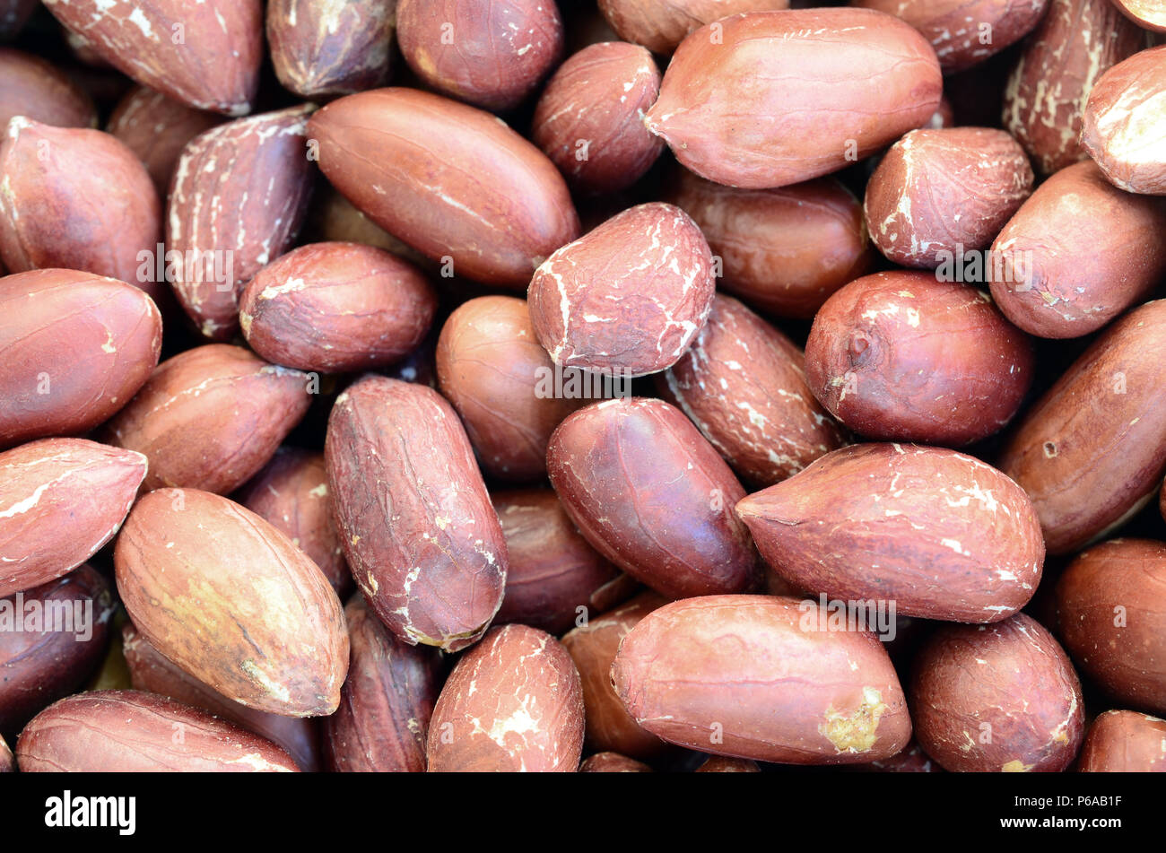 Peanut. A lot of small yellow nuts with brown peel. Background texture ...
