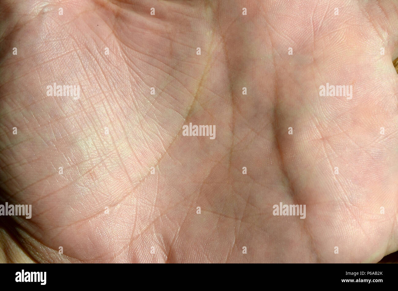 Close up of human hand skin with visible skin texture and lines Stock ...