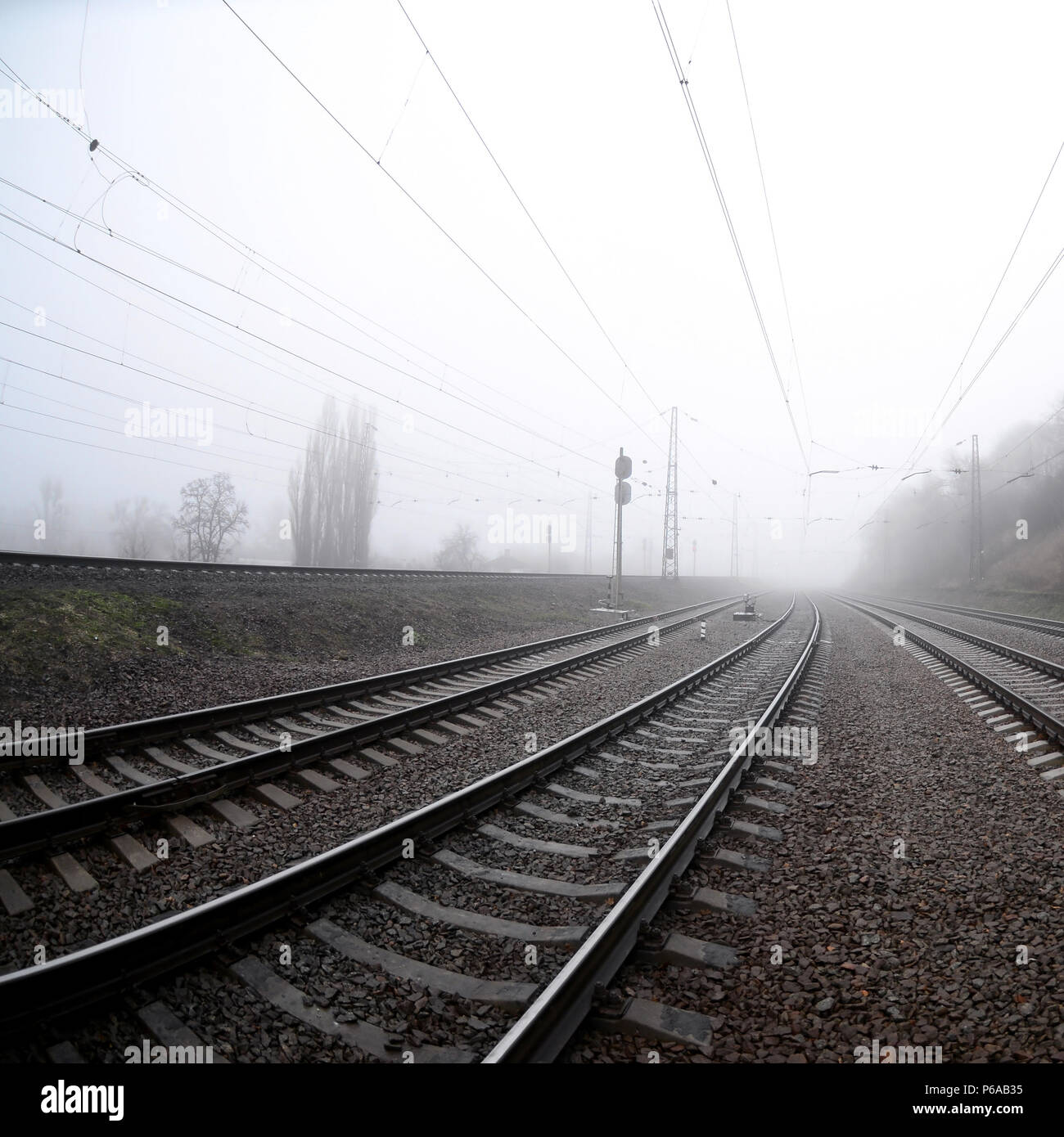 Rail tracks in misty forest hi-res stock photography and images - Alamy