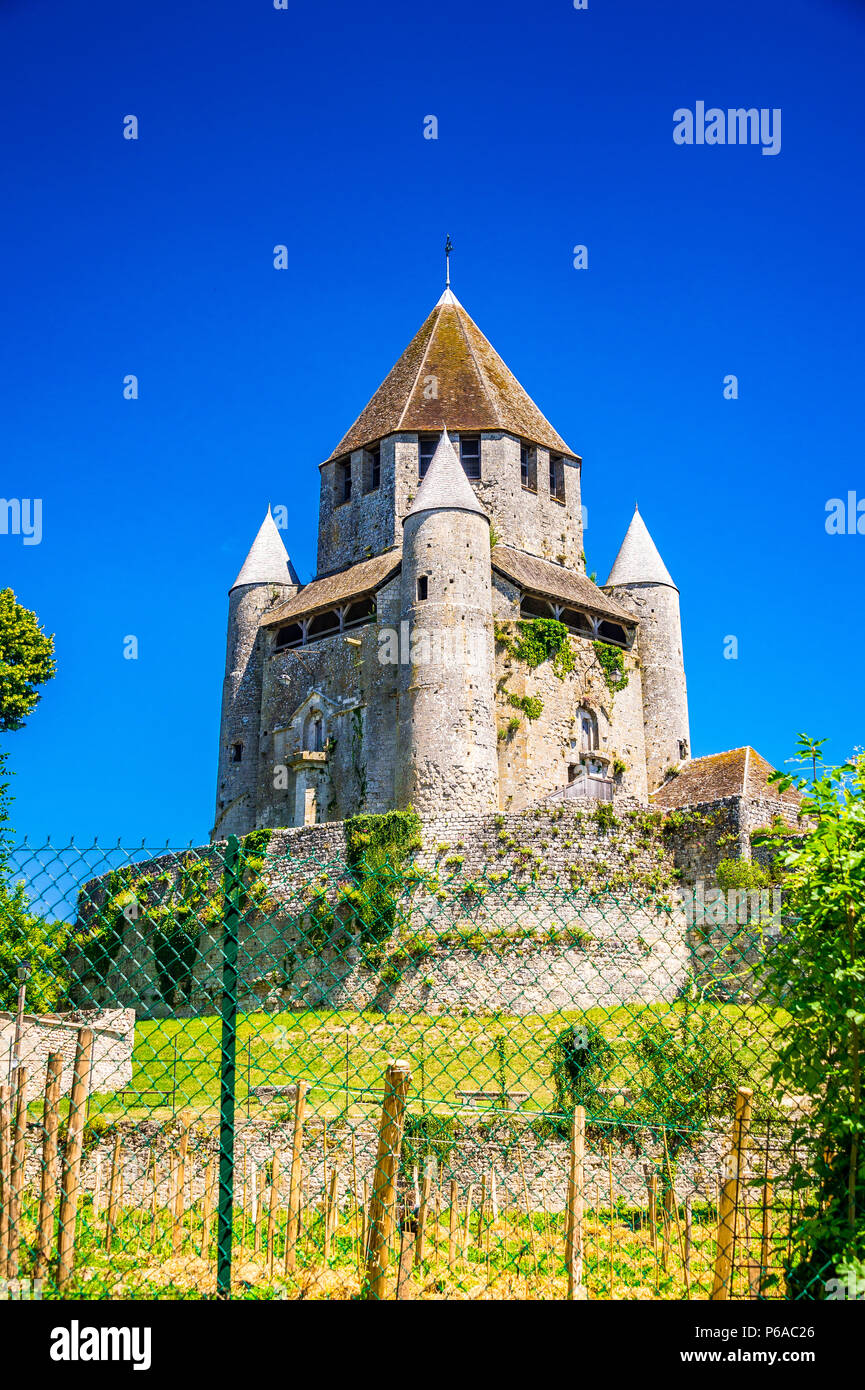Caesar Tower, also known as La Tour Cesar, is a 12th century castle ...