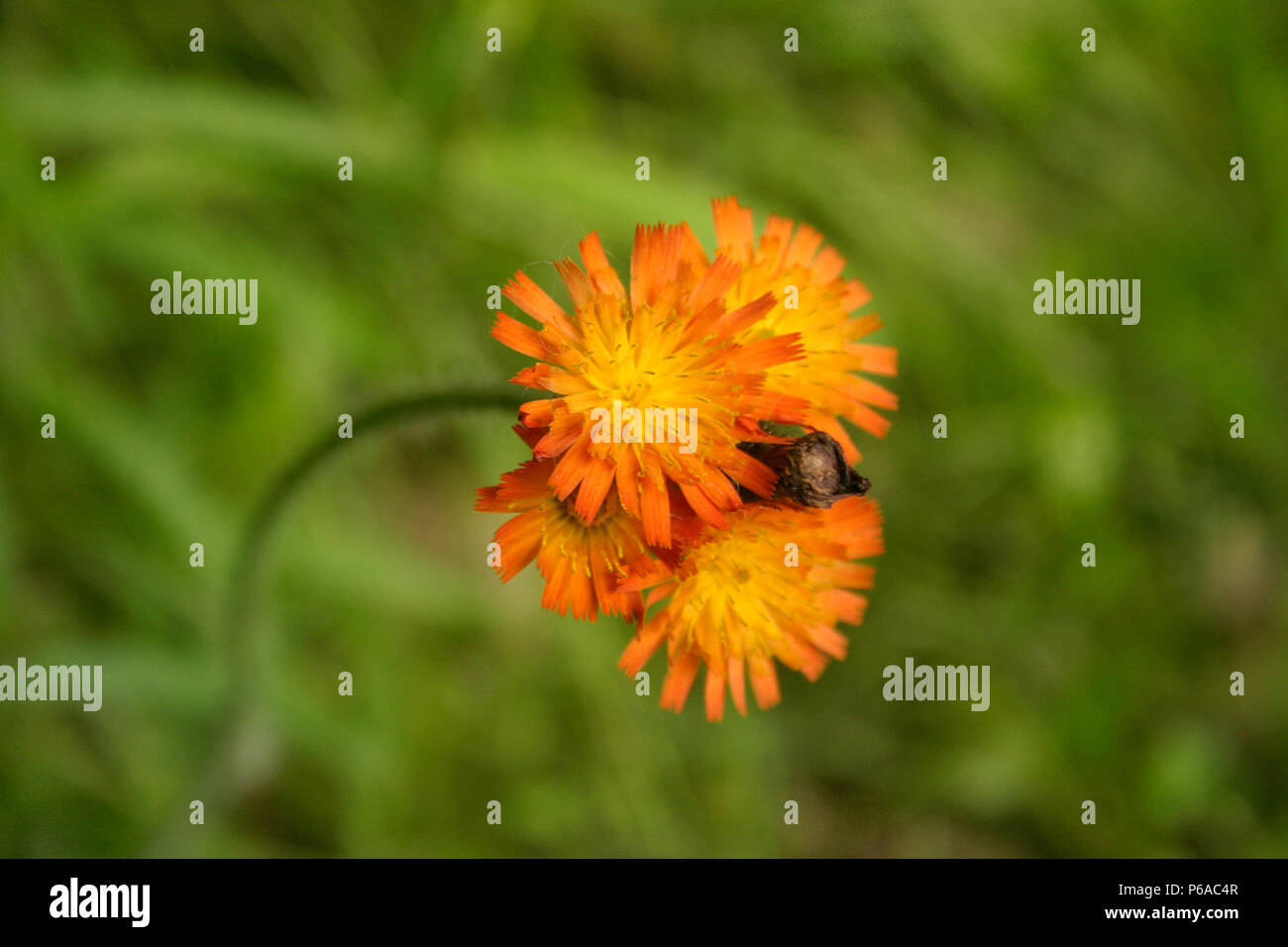 Collier yard hi-res stock photography and images - Alamy