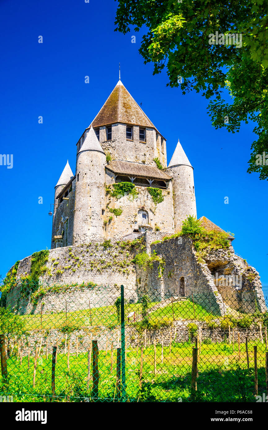 Caesar Tower, also known as La Tour Cesar, is a 12th century castle ...