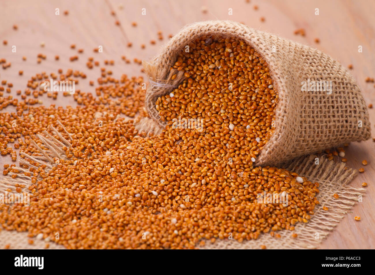 Finger Millet Stock Photos & Finger Millet Stock Images - Alamy