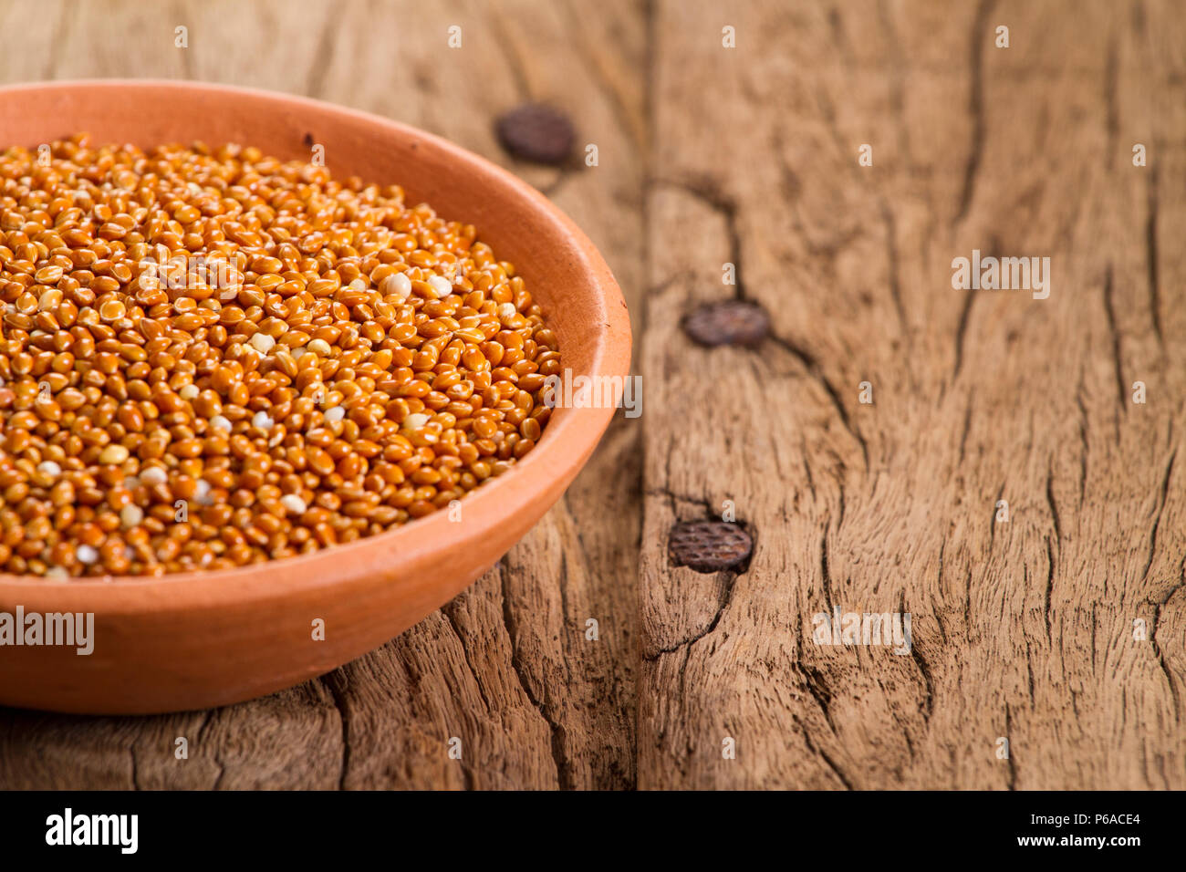 African Finger Millet High Resolution Stock Photography and Images - Alamy