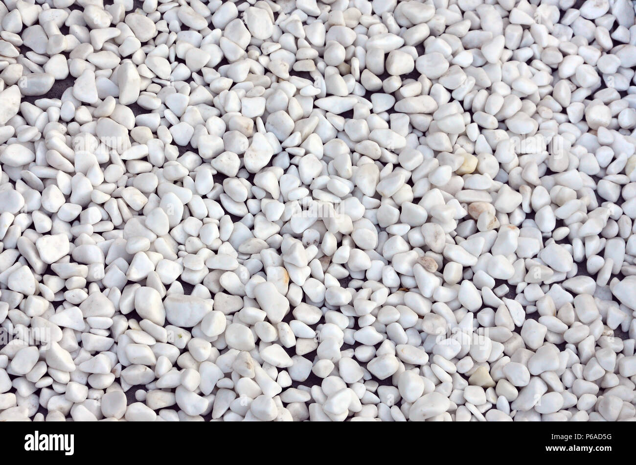 A lot of round and oval stones of white color lie on the ground in the ...