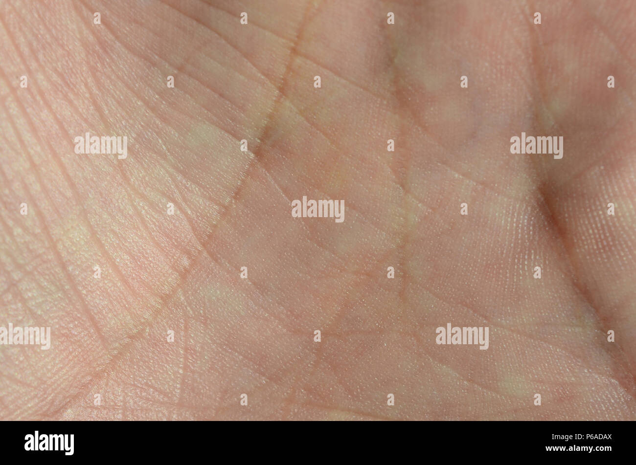 Close up of human hand skin with visible skin texture and lines Stock ...