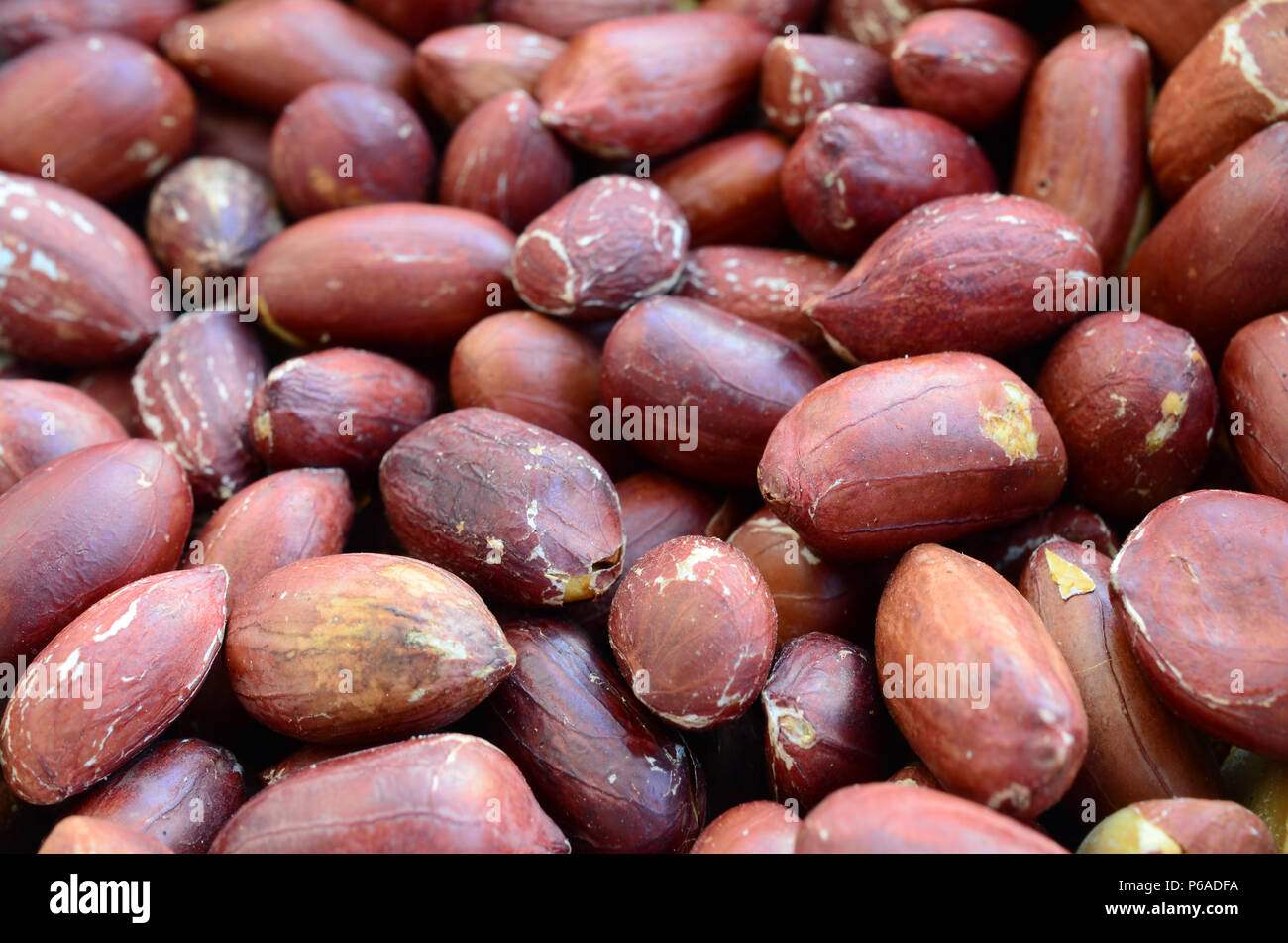 Peanut. A lot of small yellow nuts with brown peel. Background texture ...