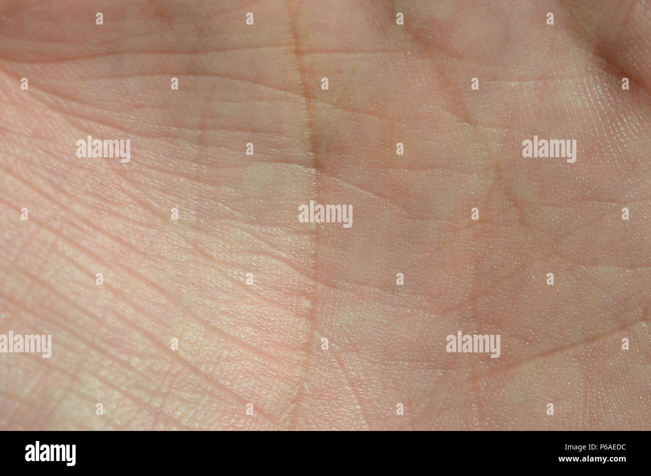 Close up of human hand skin with visible skin texture and lines Stock ...