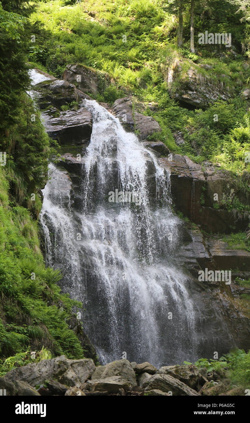 Photo of a beautiful macro waterfall in Sochi Russia in summer Stock ...