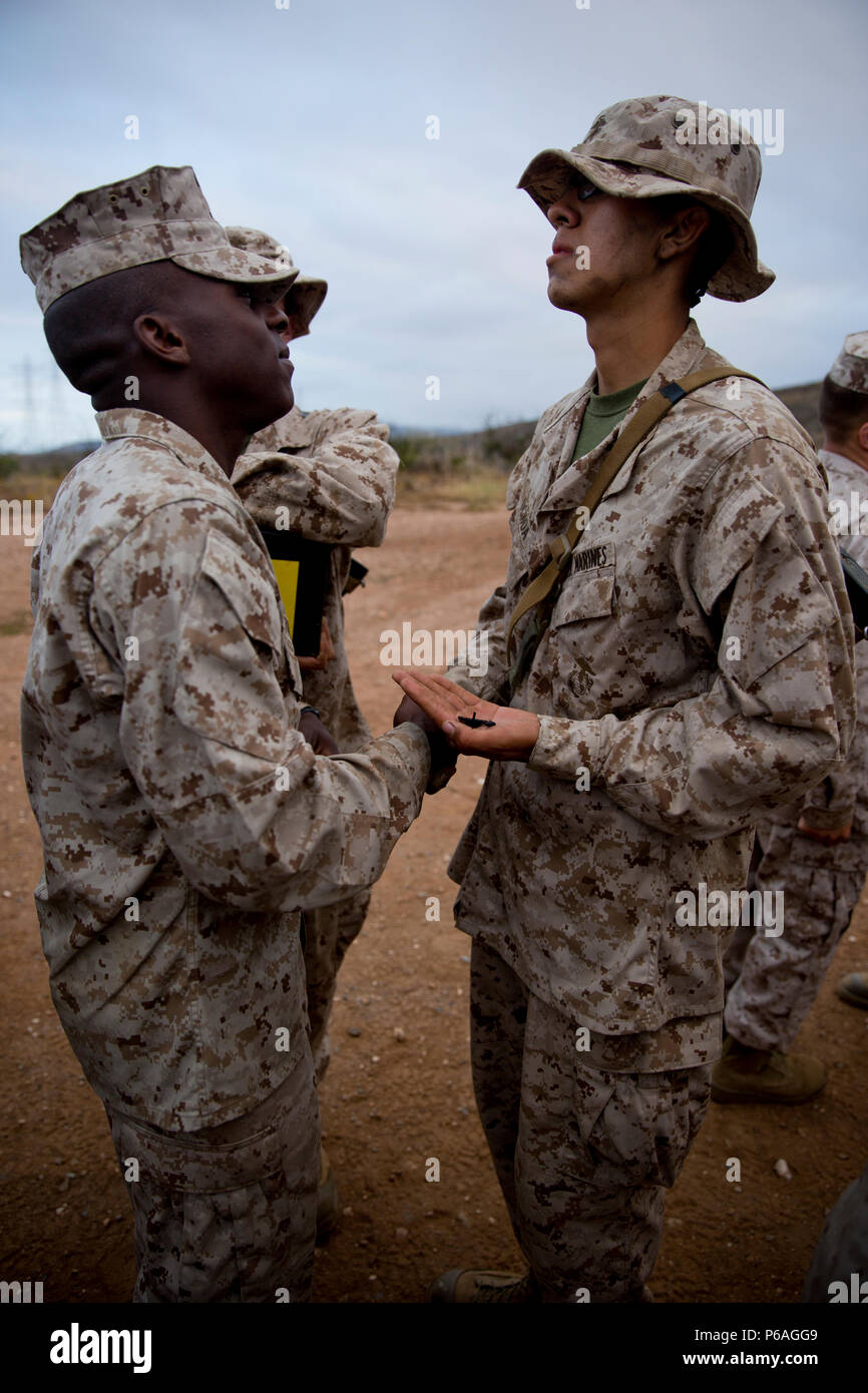 U.S. Marine Corps Sgt. John Tyree, a drill instructor with Company F ...