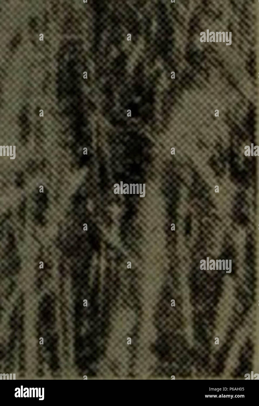 Descriptive text book hi-res stock photography and images - Alamy