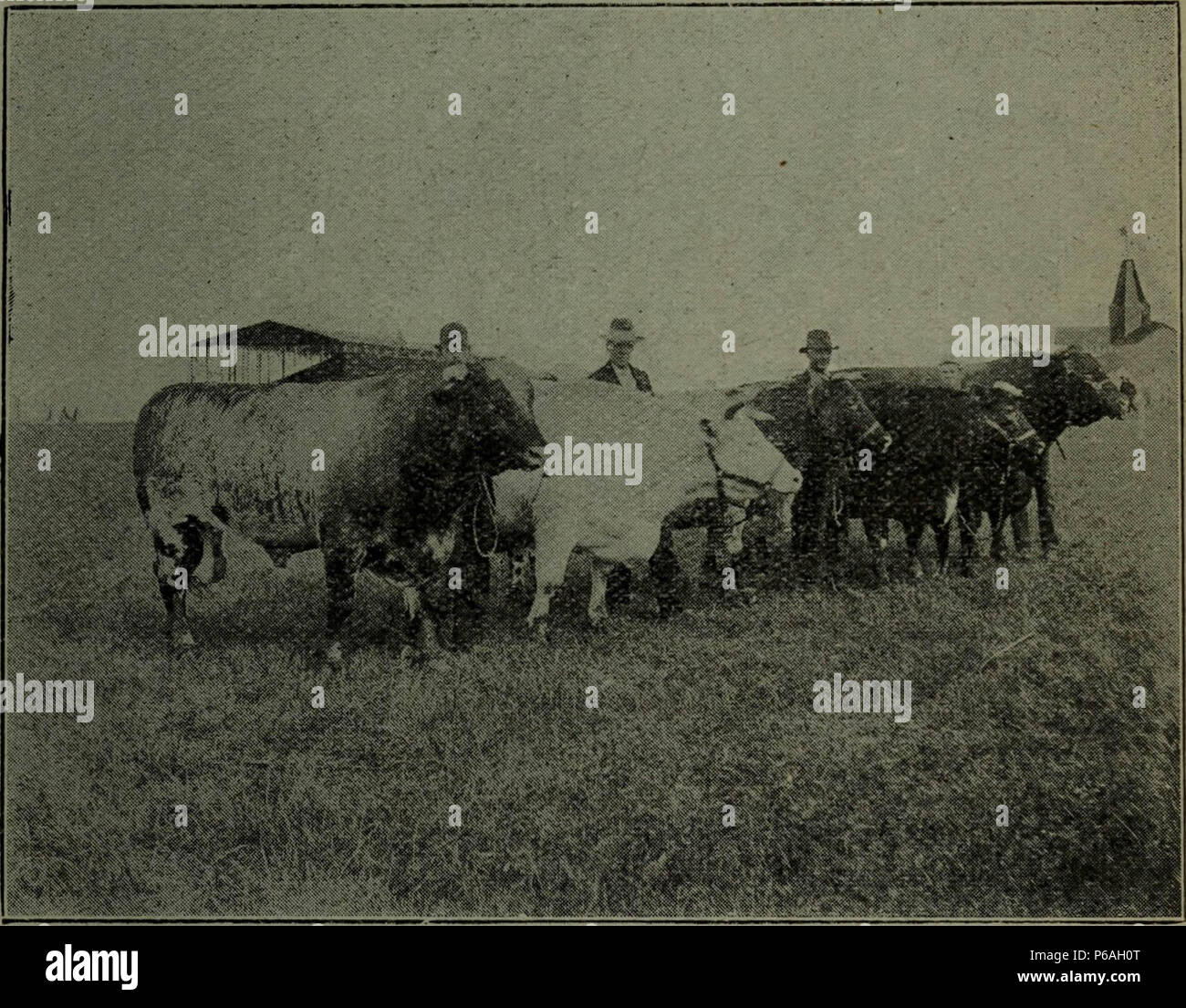 Descriptive text book hi-res stock photography and images - Alamy