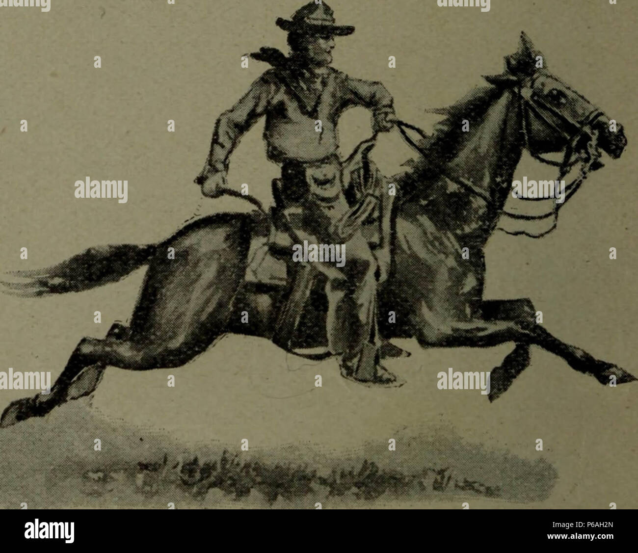 Descriptive text book hi-res stock photography and images - Alamy