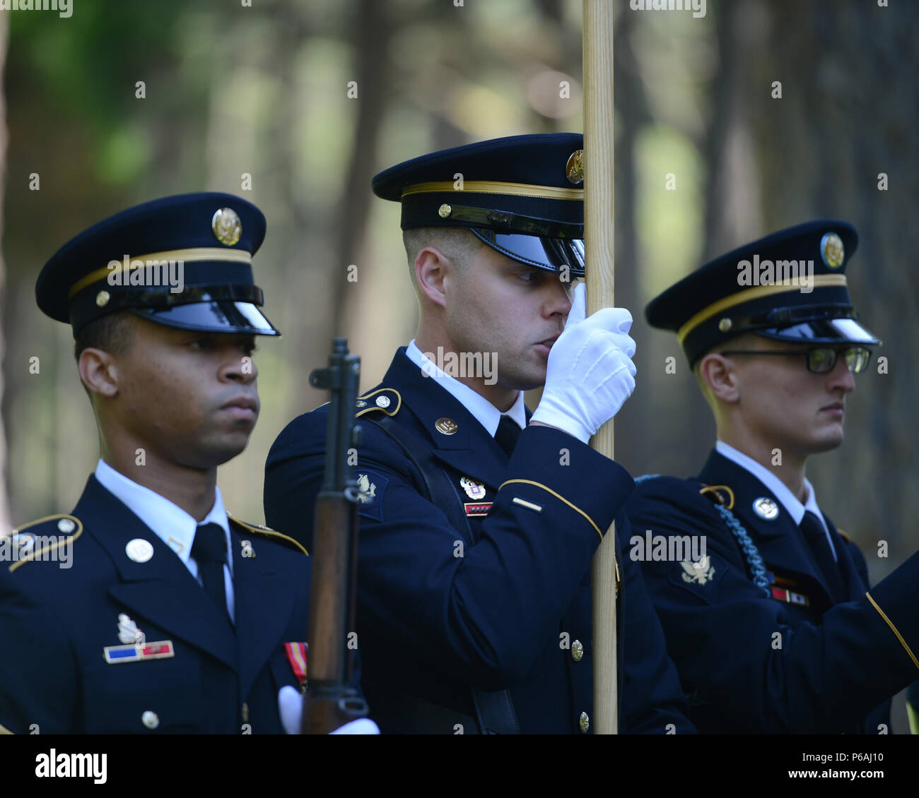 U.S. Army Color Guard during the Memorial Day Ceremony at Joint Base ...