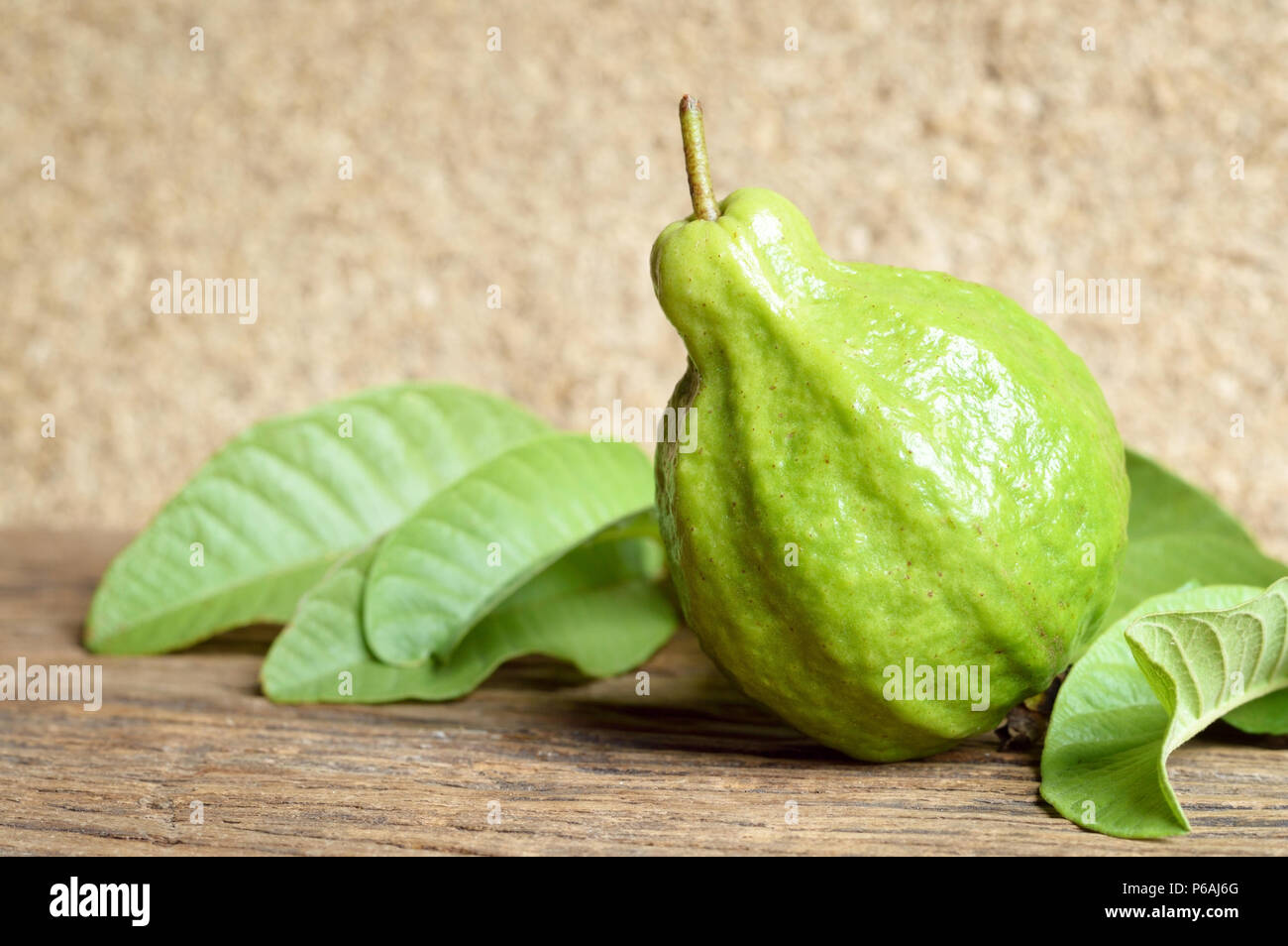 Side view fresh guava hi-res stock photography and images - Alamy