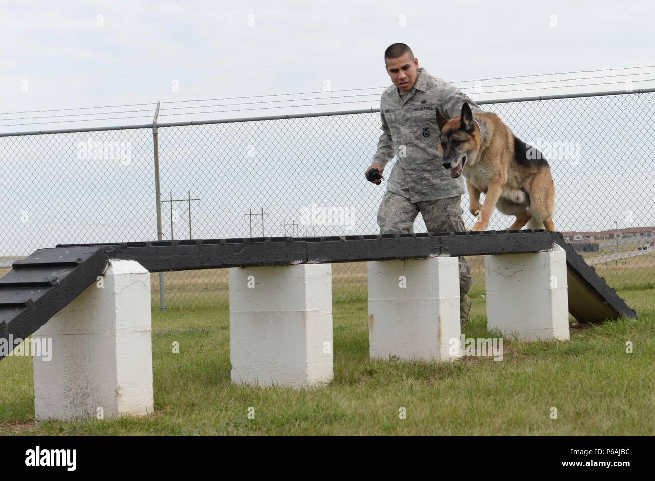 Staff Sgt. Michael Gwin, a military working dog handler assigned to the ...