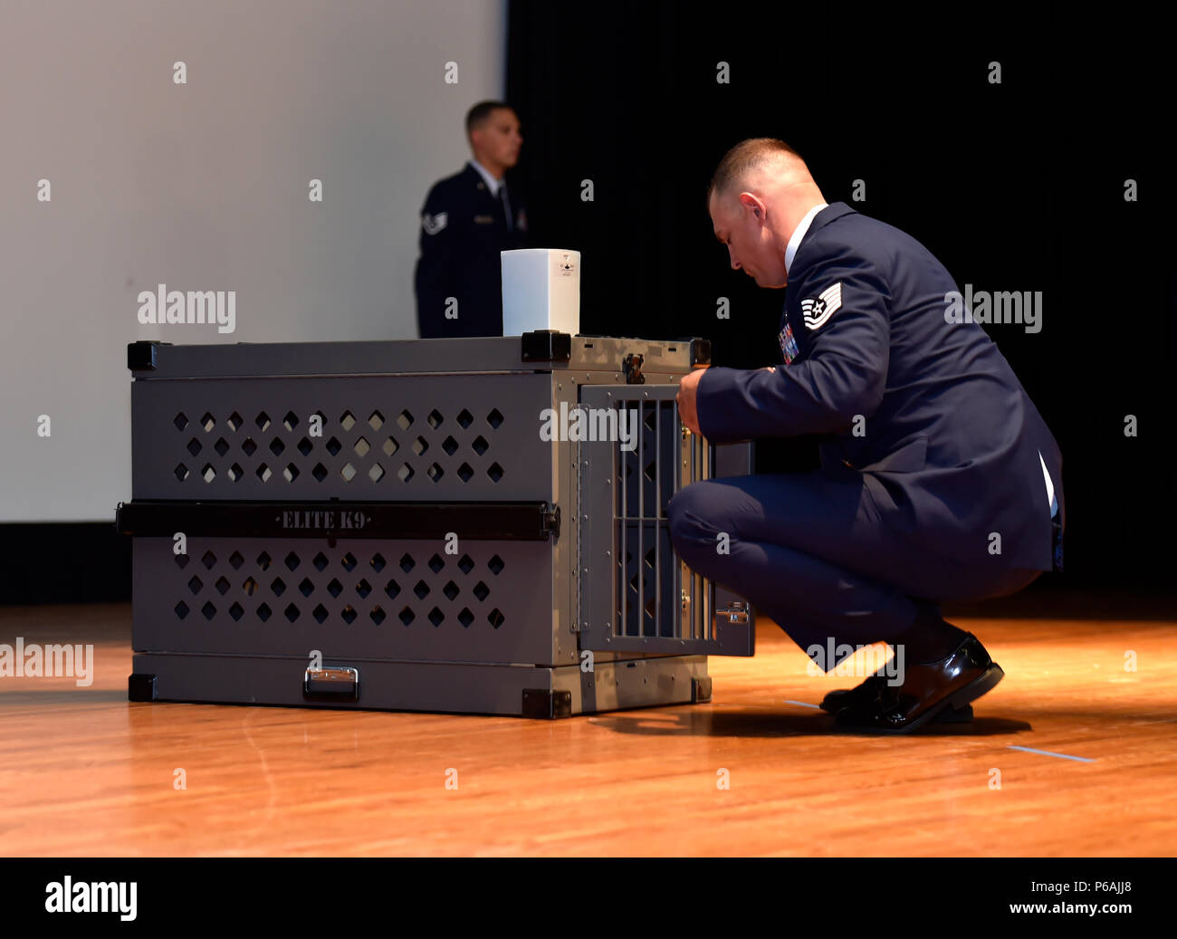 Tech. Sgt. Timothy Garrett, a 628th Security Forces Squadron military ...