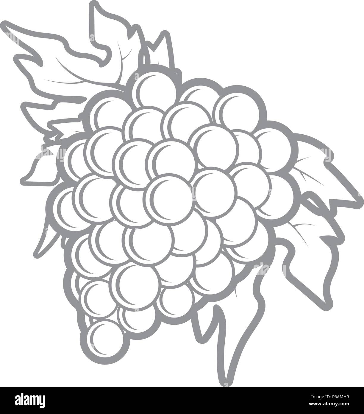 Simple Grapes Outline