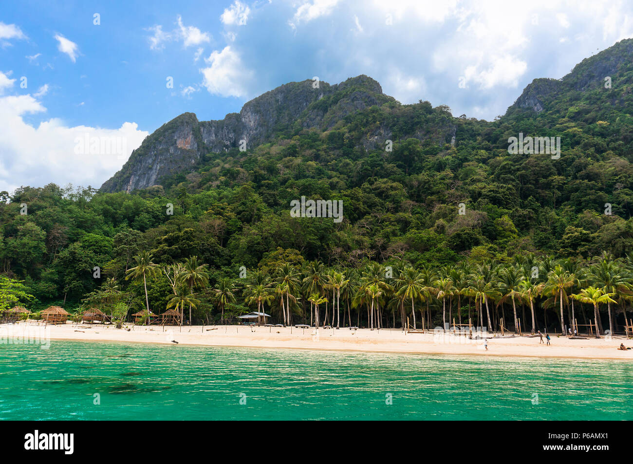 Philippine island with green palm trees, pure white beaches and clear ...