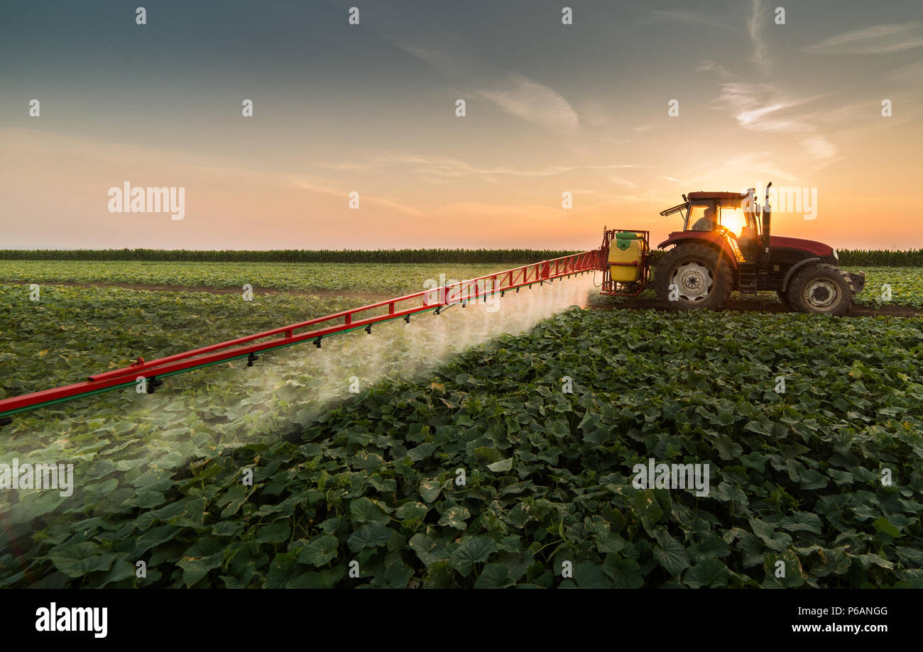 Tractor spraying pesticides on vegetable field with sprayer at spring ...