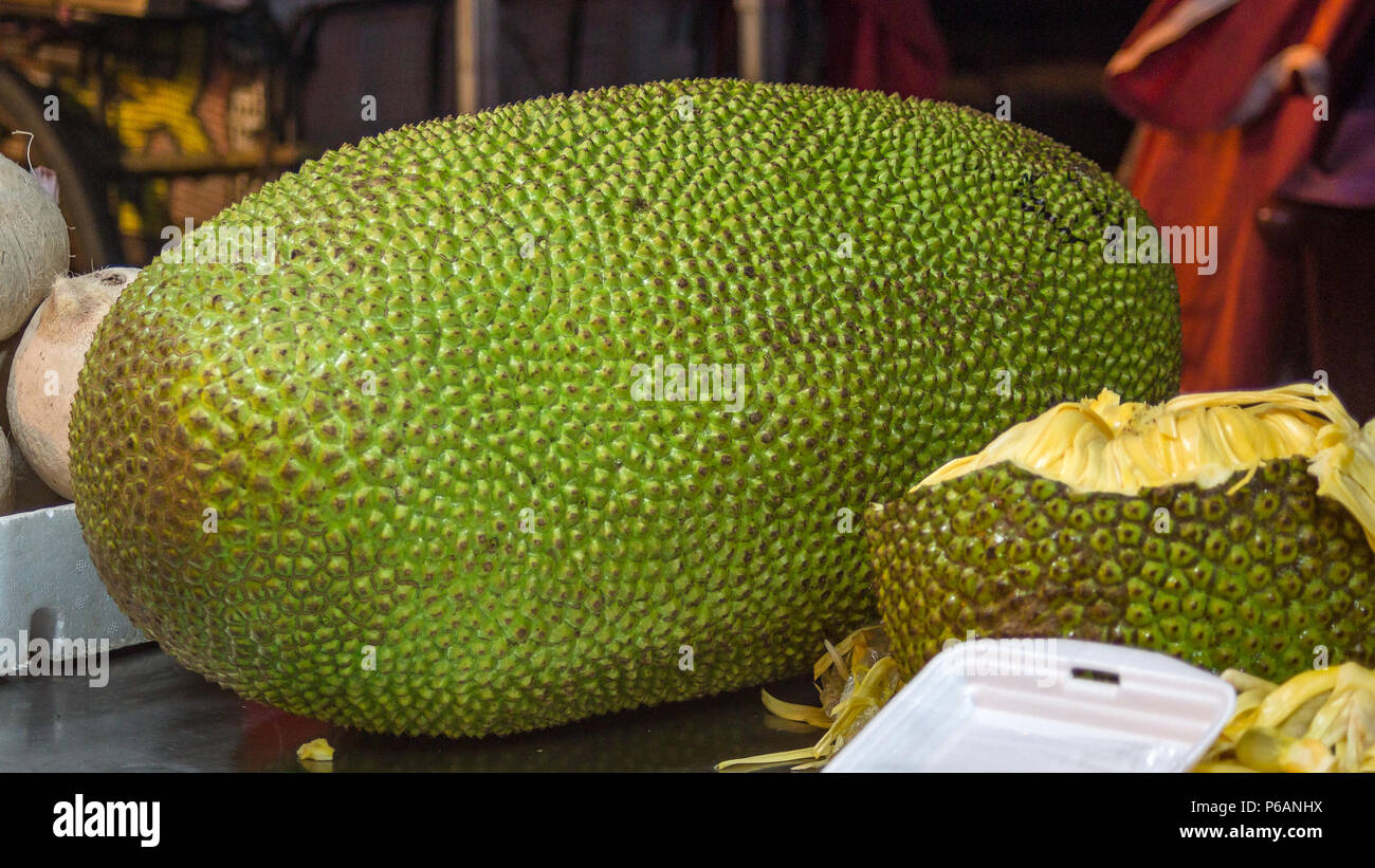 Beautifuldurian hi-res stock photography and images - Alamy