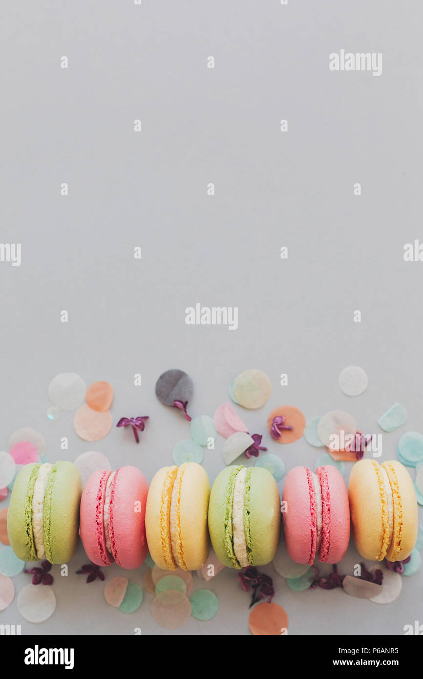 delicious colorful macaroons on trendy pastel gray paper with lilac ...