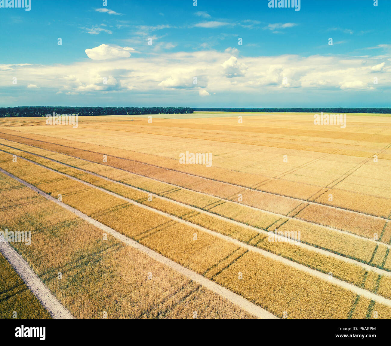 Aerial view of geometric wheat fields. Natural background Stock Photo ...