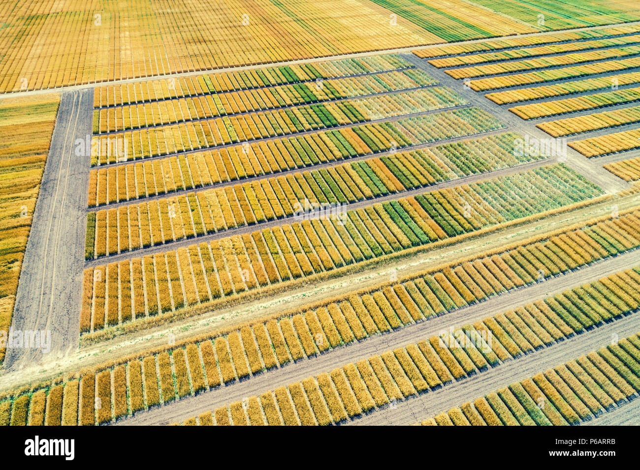 Geometric fields hi-res stock photography and images - Alamy