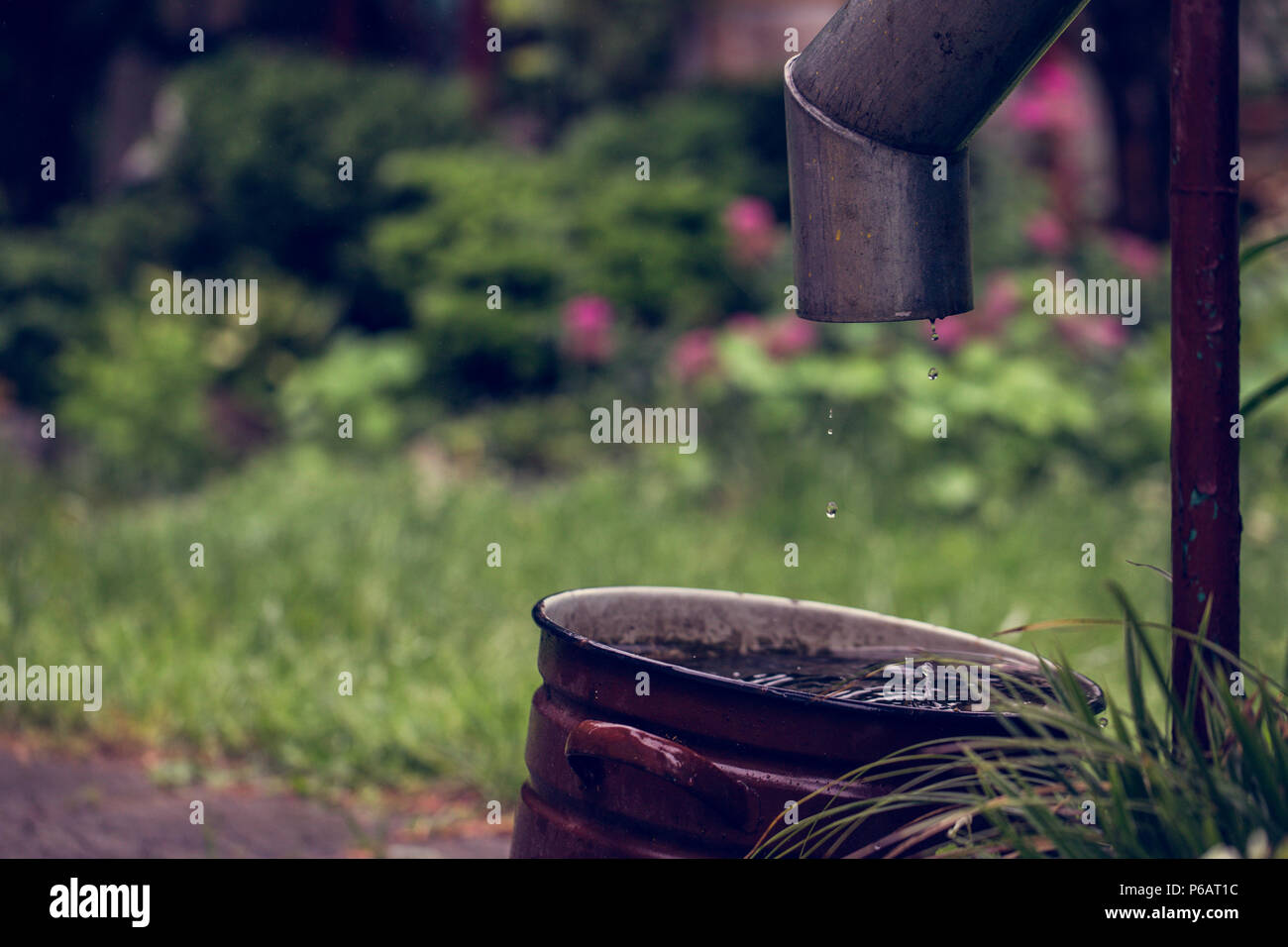 Large enamel tank full of water under a downpipe after a summer rain at ...