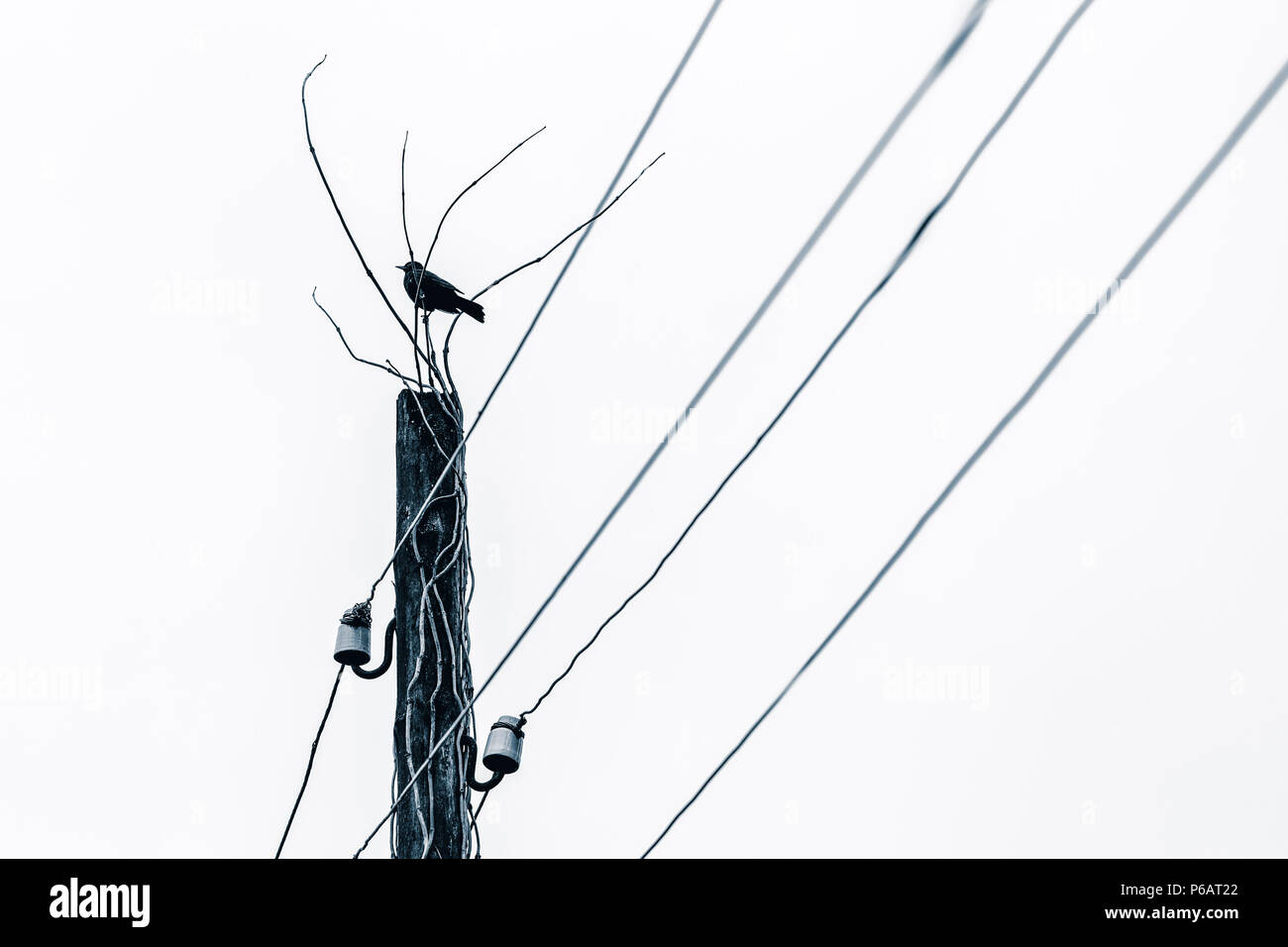 Elctric black hi-res stock photography and images - Alamy