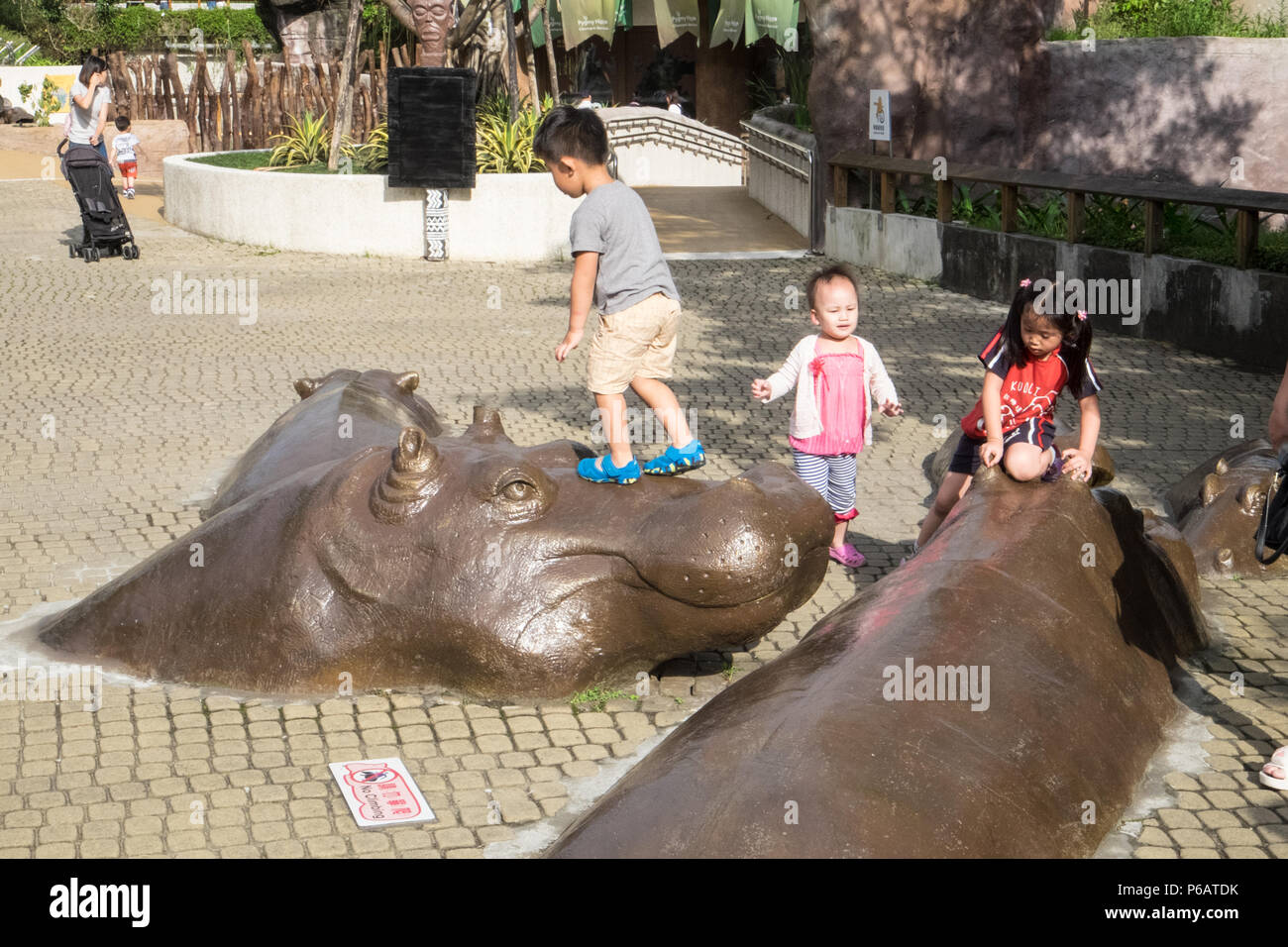 Taipei zoo hippo hi-res stock photography and images - Alamy