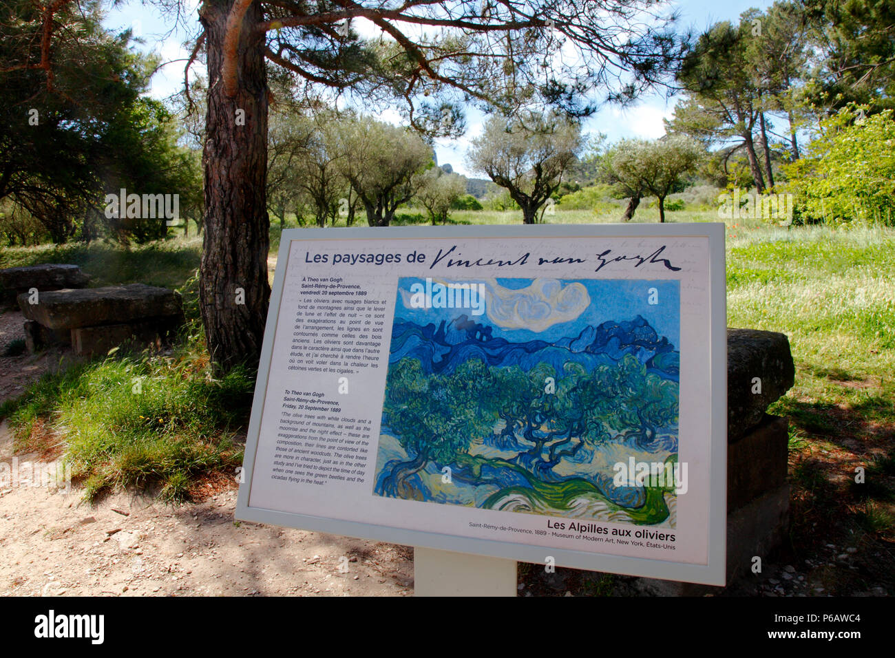 Van gogh tree of life hi-res stock photography and images - Alamy