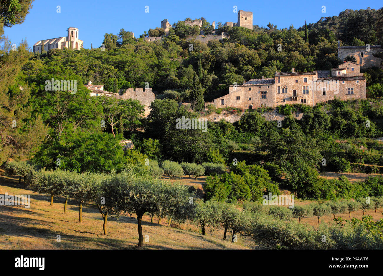 France, Provence Alpes Cote d'Azur, department of Vaucluse (84 ...