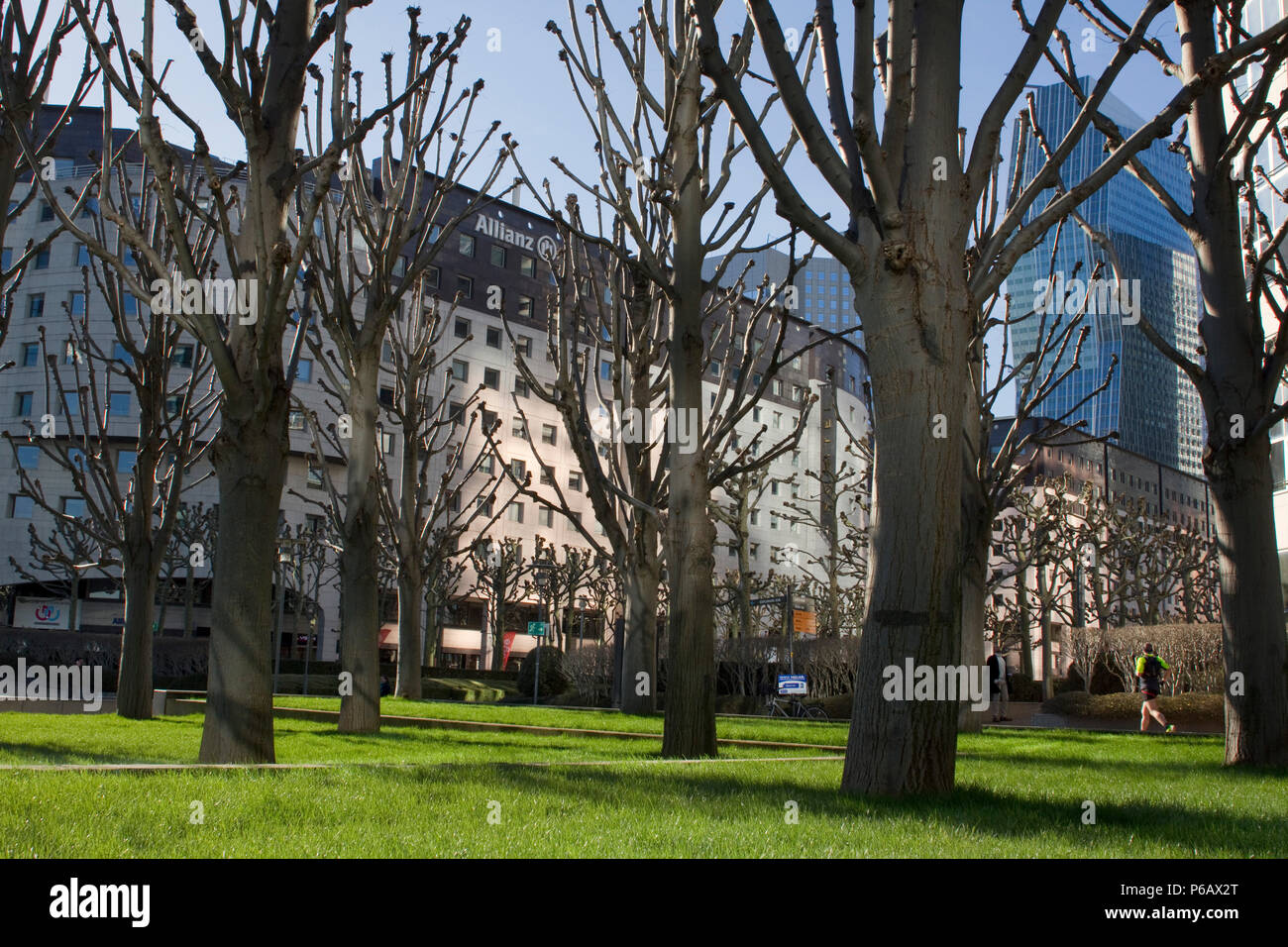 France, Paris, La Defense, Esplanade du general de Gaulle, trees at ...