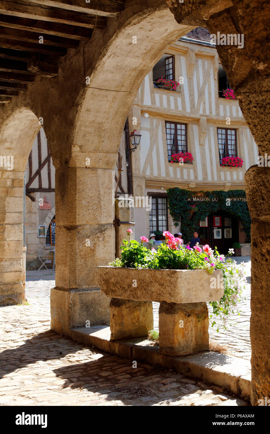 Burgundy yonne flower hi-res stock photography and images - Alamy