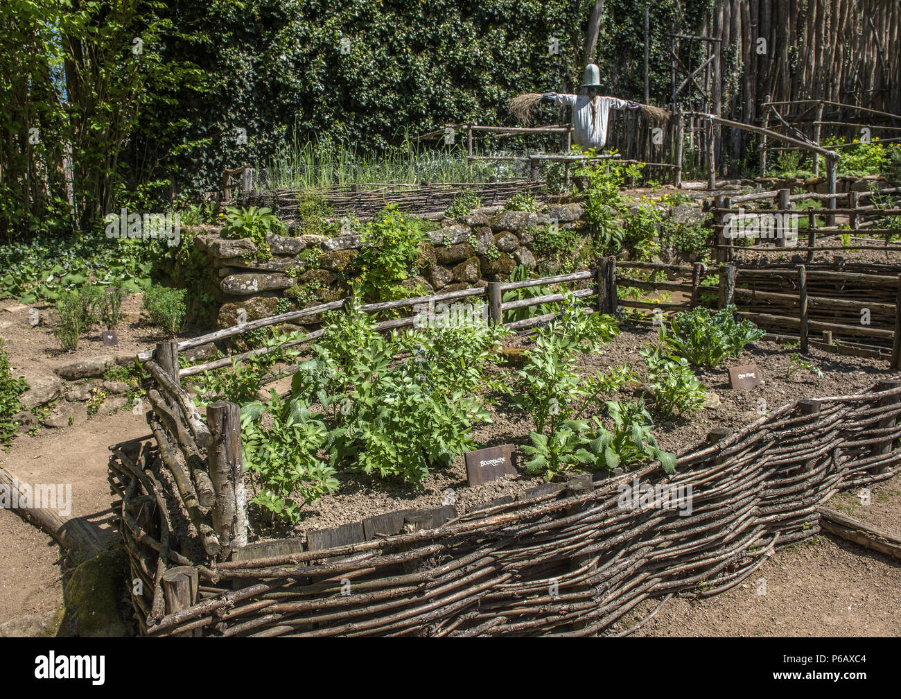 Medieval Kitchen Garden