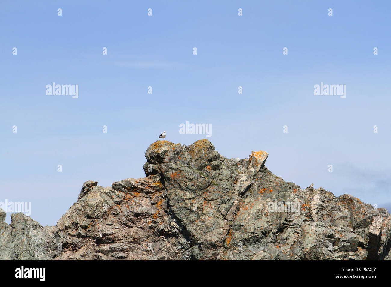 Labrador canada mountains hi-res stock photography and images - Alamy