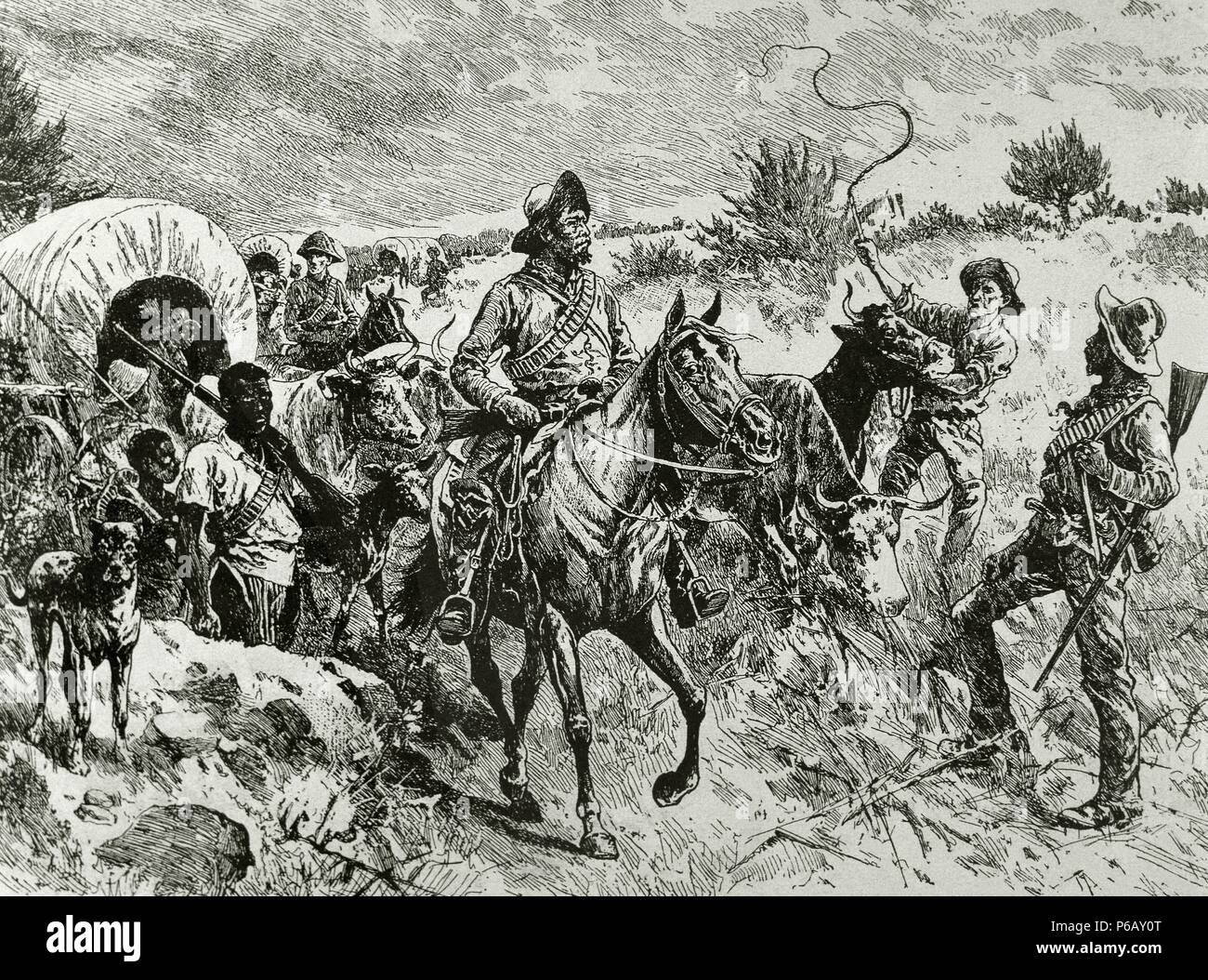 Second Anglo-Boer War (1899-1902). A convoy of Boers. Engraving, 19th ...